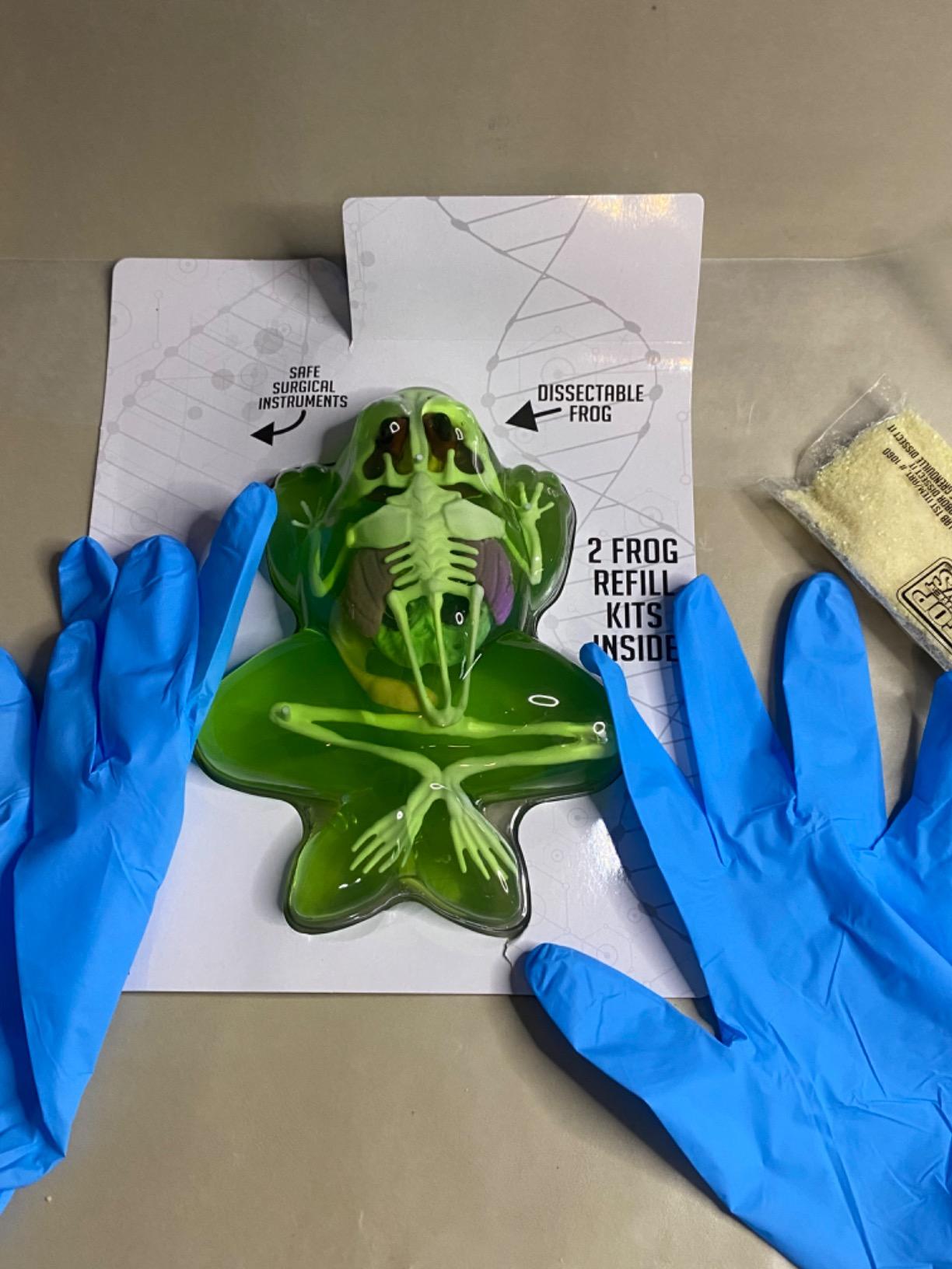Amazon.com: A Synthetic Frog Dissection kit