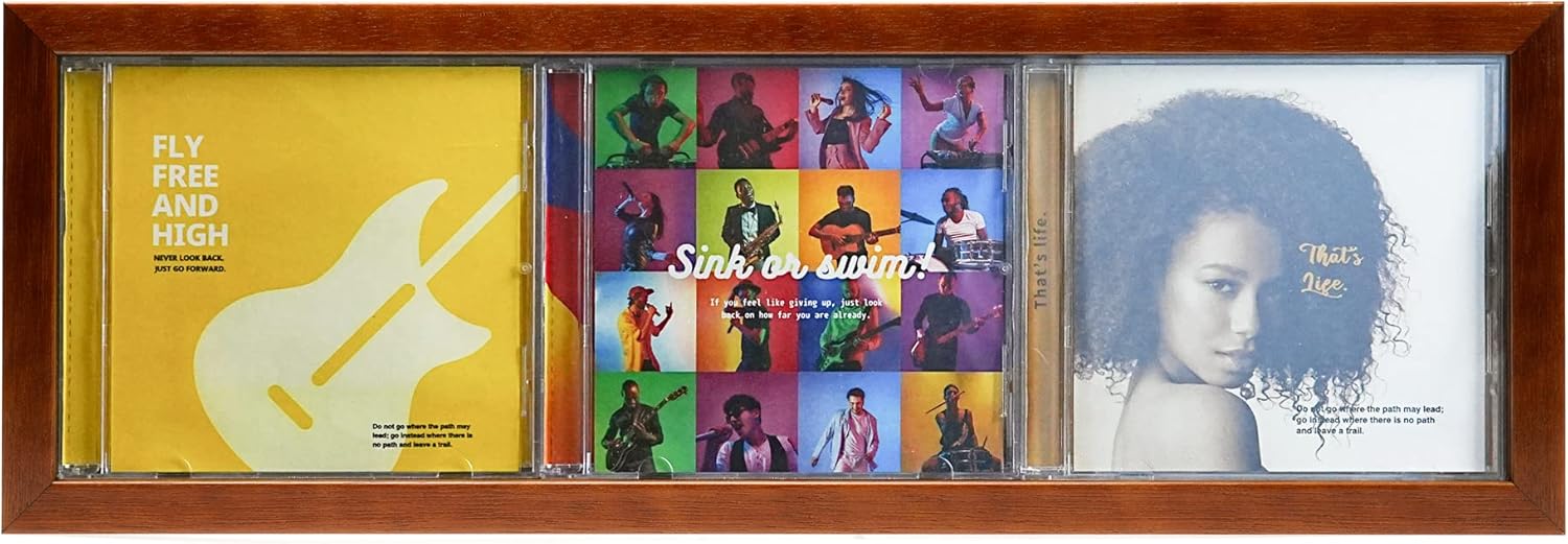 Amazon.com - Kenko PS-CD3Y-BR Picture Frame, CD Display Frame, Holds 3 ...