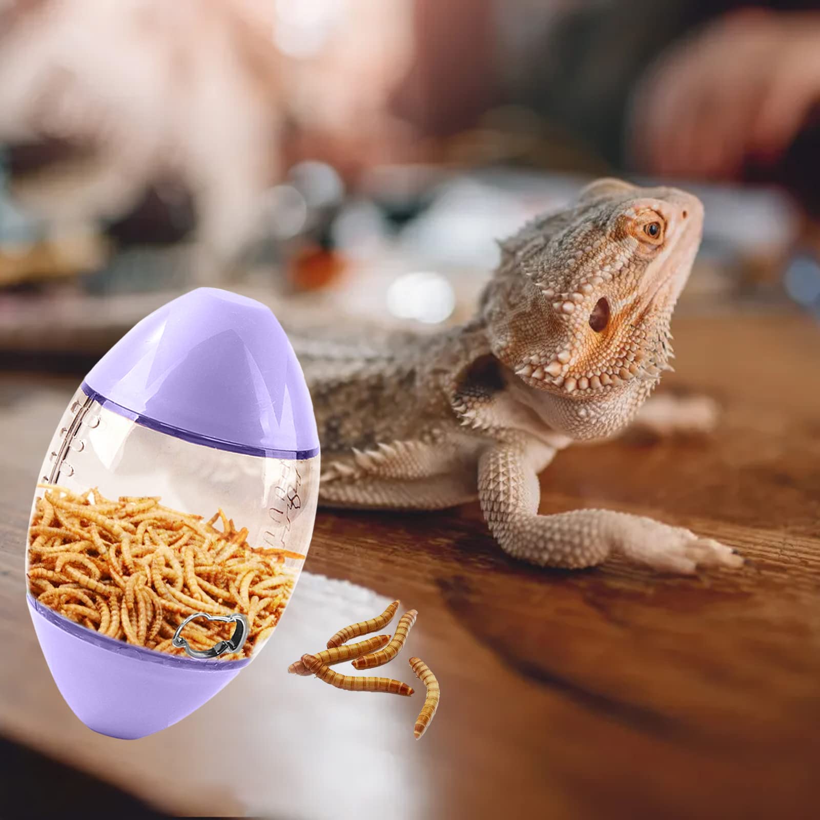 Bearded Dragon Eating Mouse
