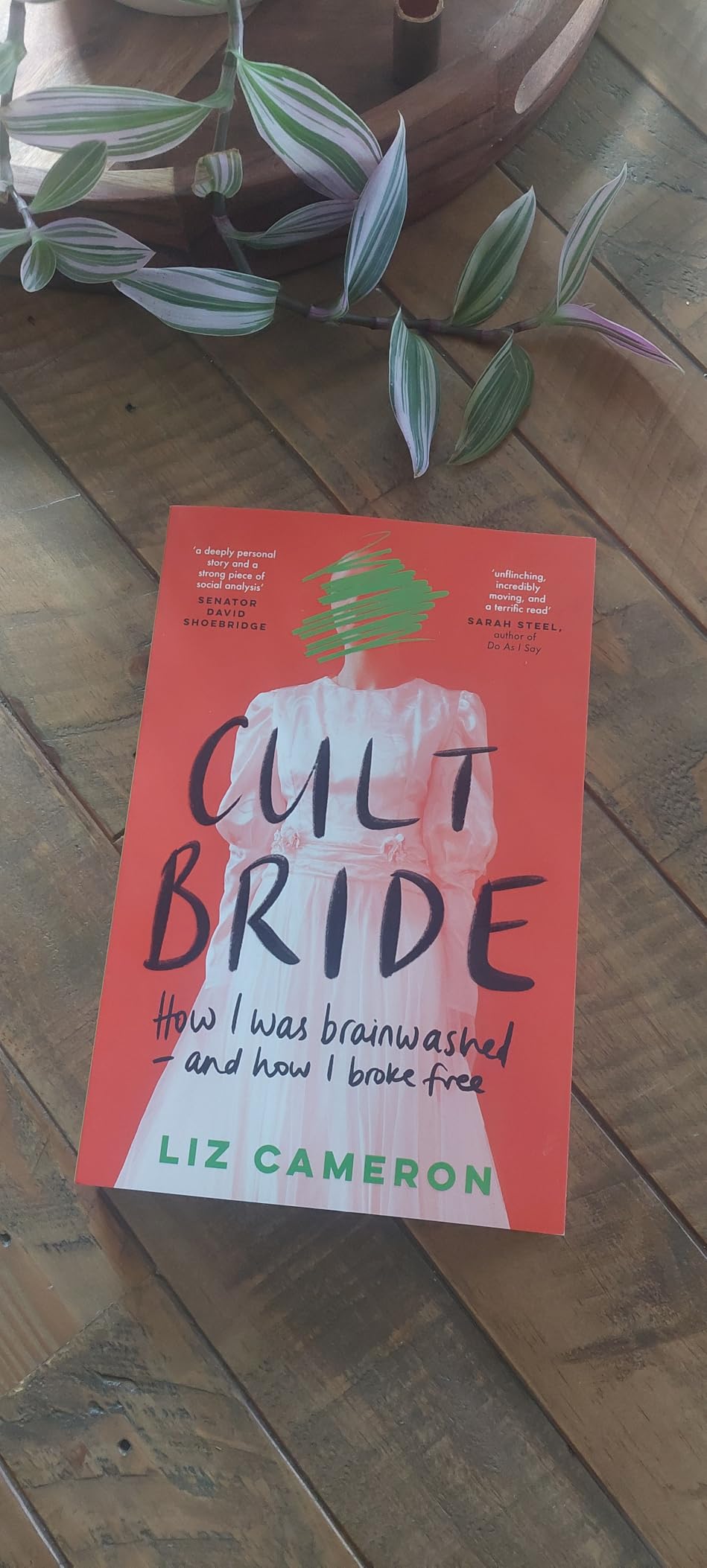 Cult Bride: How I Was Brainwashed – and How I Broke Free : Cameron, Liz ...