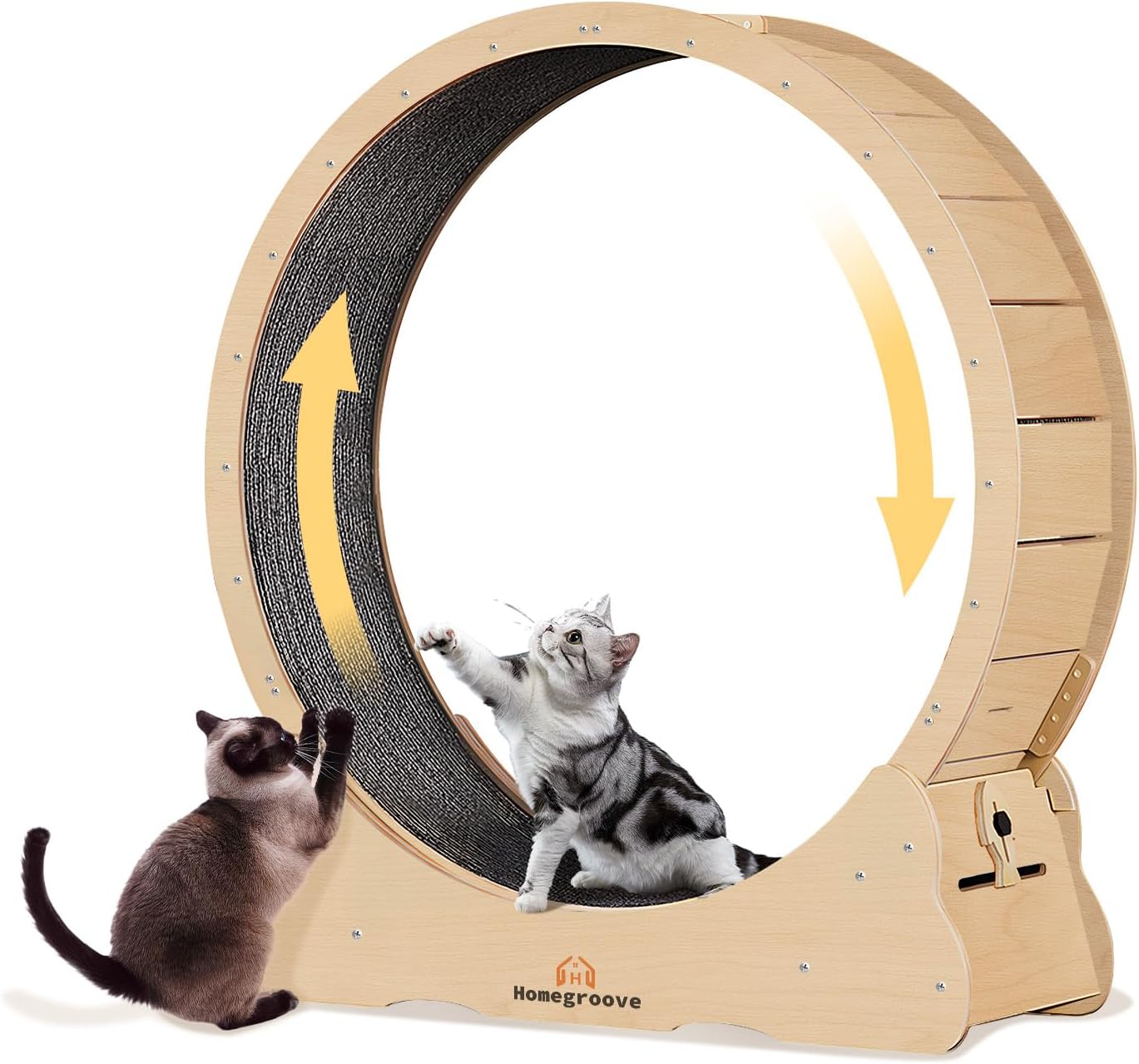 Amazon.com : 48'' Large Cat Wheel – Size Which Doesn't Negatively ...