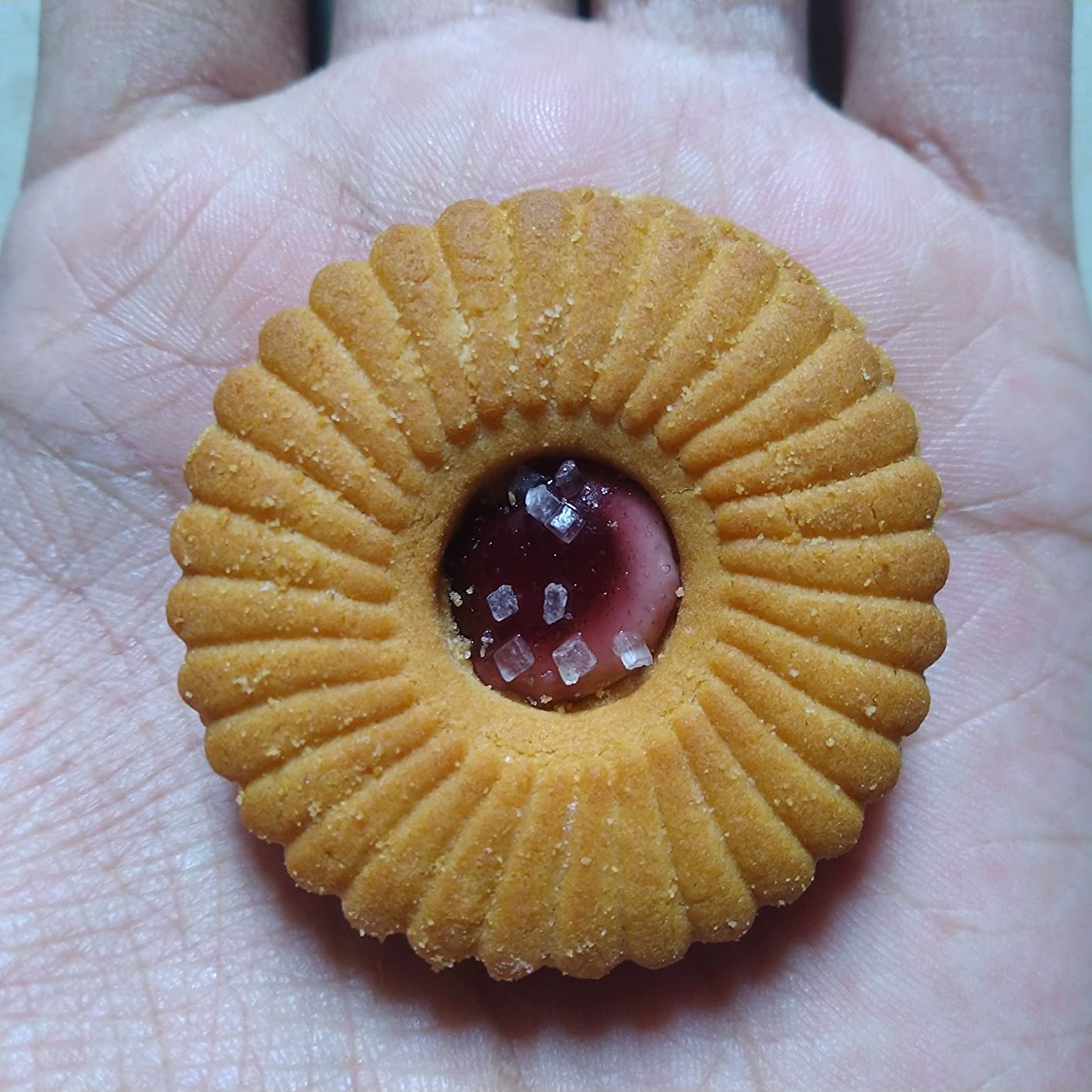 Parle Fab! Jam-in Black Currant Flavoured Jam Biscuits, 150g : Amazon ...