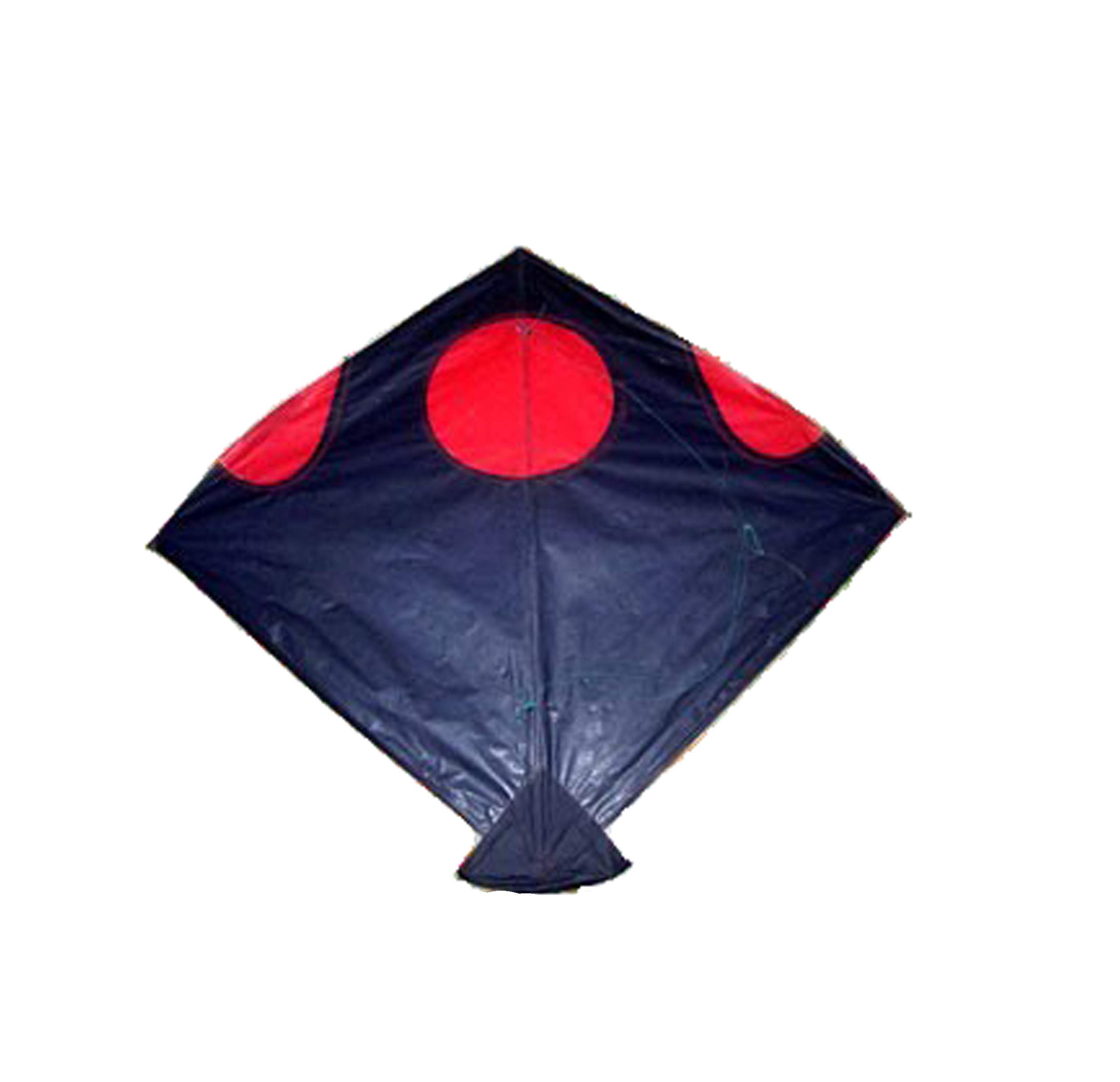 Buy Paper Kites Patang for Lohri, Basant Festival Paper Indian Fighter ...