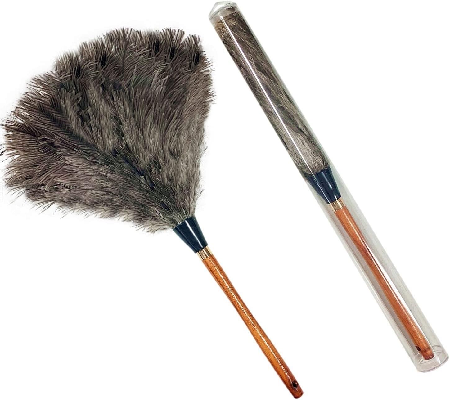 Amazon.com: Alta Dusting Products Royal Floss Premium Feather Duster w ...