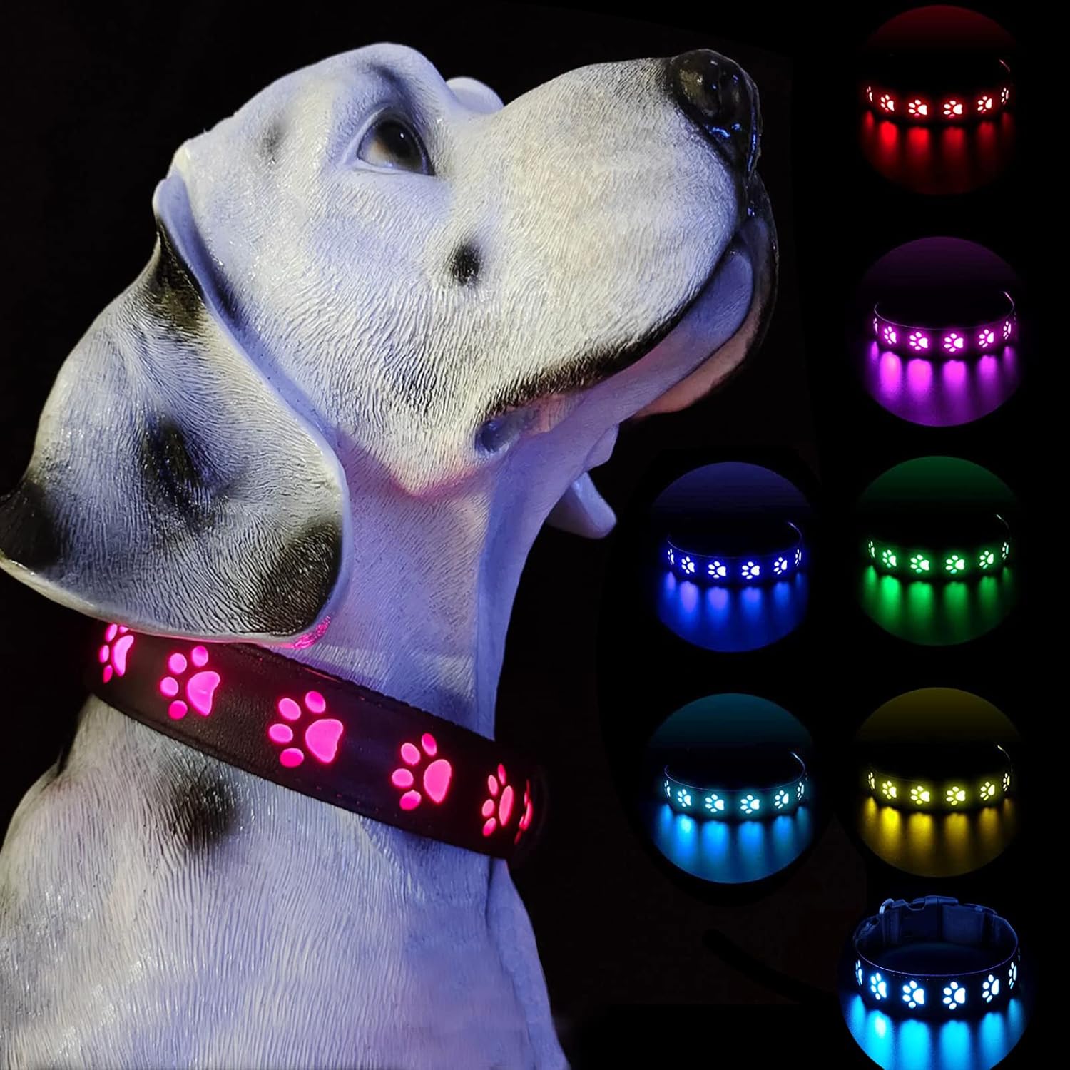 Collar LED para Perro, Reflectante para Collares con Carga USB, Collar ...
