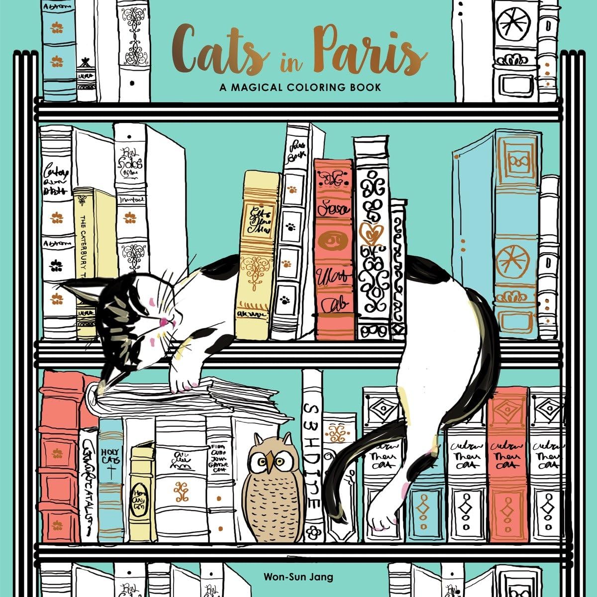 Amazon.com: Cats in Paris: A Magical Coloring Book: 9780399578274: Jang ...