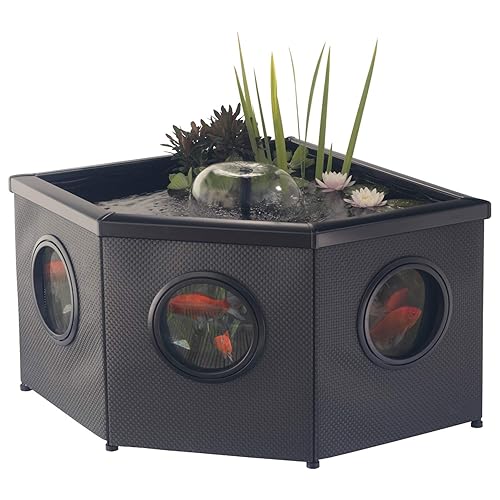 Bassin de Jardin | Tout savoir avant de se lancer