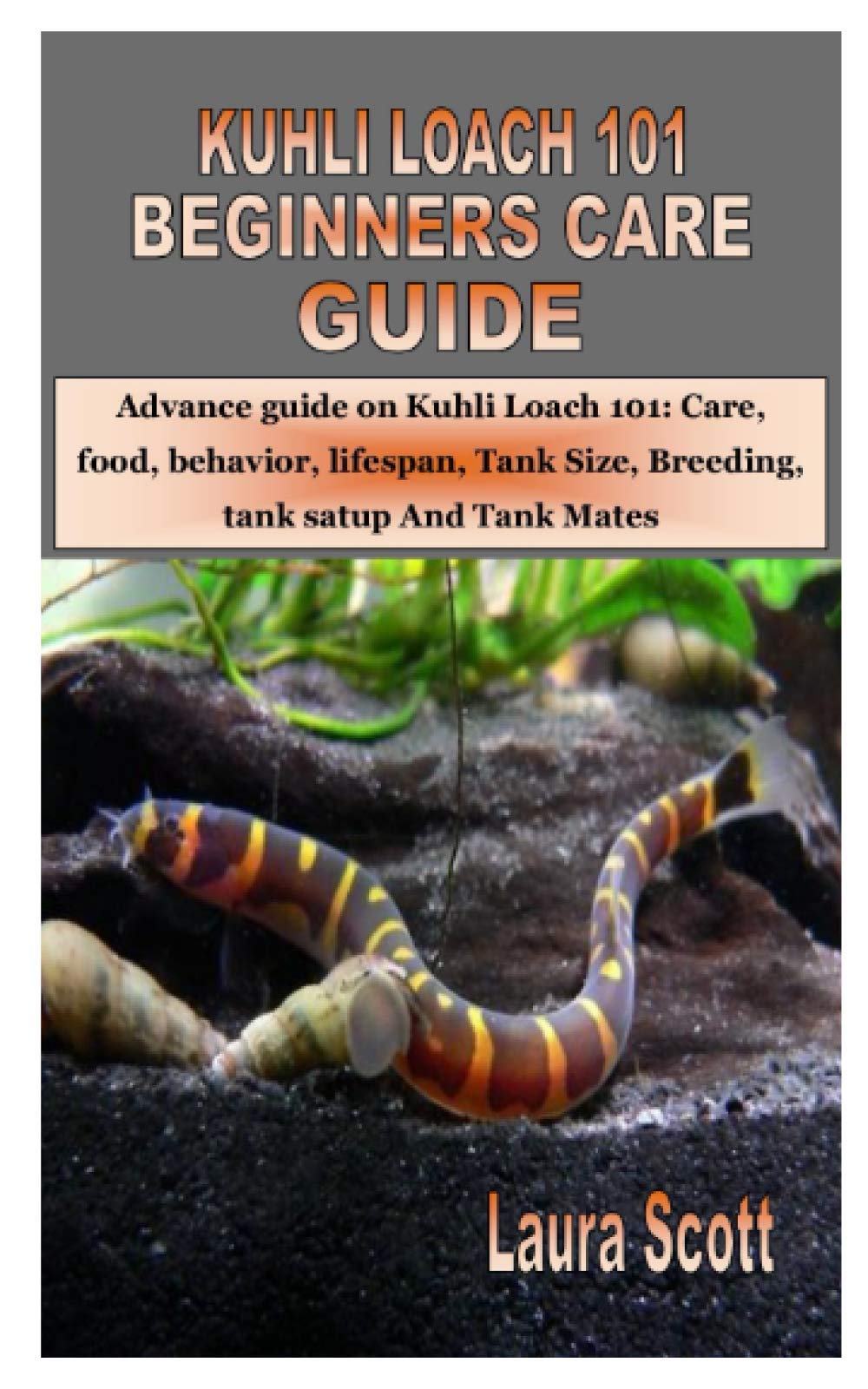 Buy Kuhli Loach 101 Beginners Care Guide: Advance guide on Kuhli Loach ...