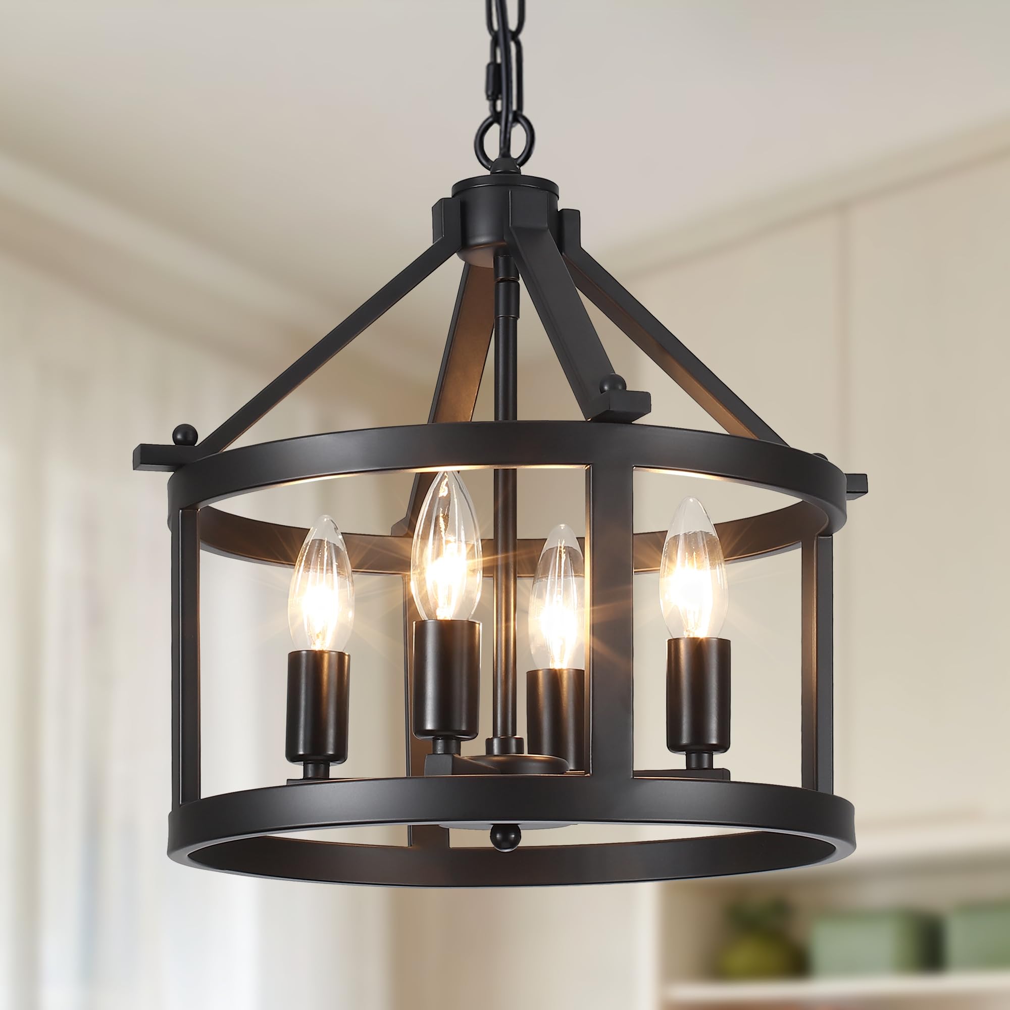 Yidelloc Farmhouse Light Fixtures Round Cage Chandeliers 4 Lights E12 ...