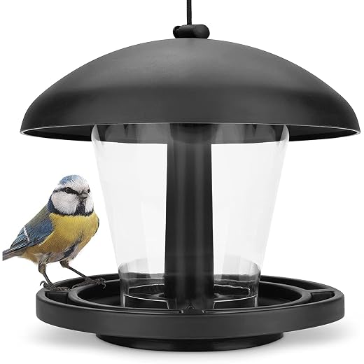 6 Mejores Comederos para Aves en 2025: Recomendados por Expertos ...