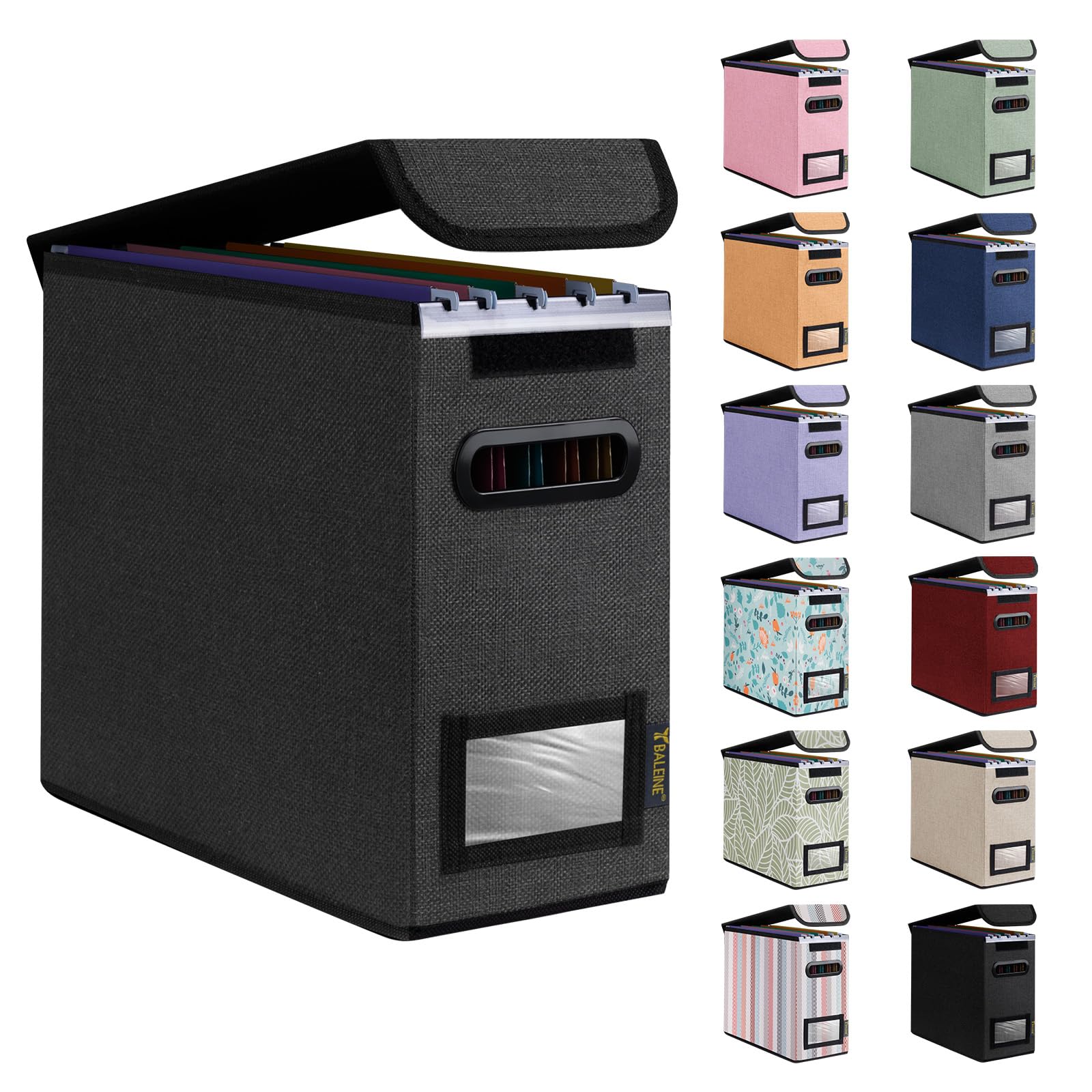 Amazon.com: BALEINE File Organizer Box with Lid, Collapsible File ...