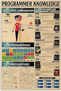Amazon.com : Programmer Knowledge Metal Tin Signs Computer Programming ...