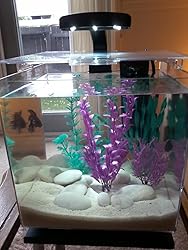 Tetra LED Cube Kit 3G : Amazon.ca: Pet Supplies