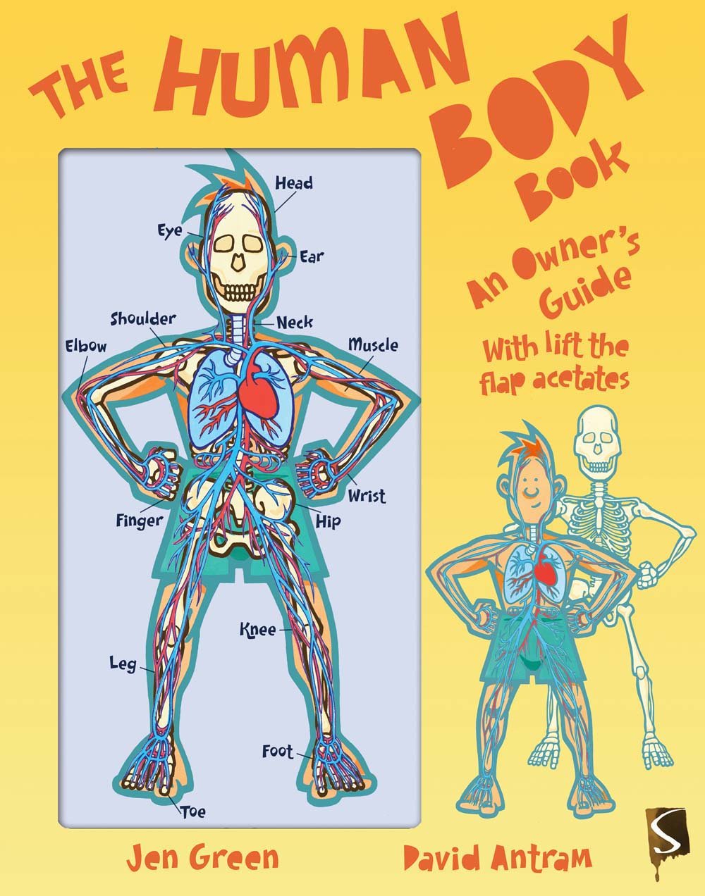The Human Body Book: An Owner's Guide: Green, Jen, Antram, David ...