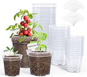Amazon.com: homenote Clear Nursery Pots for Plant,3/4/5 Inch Plant Pot ...