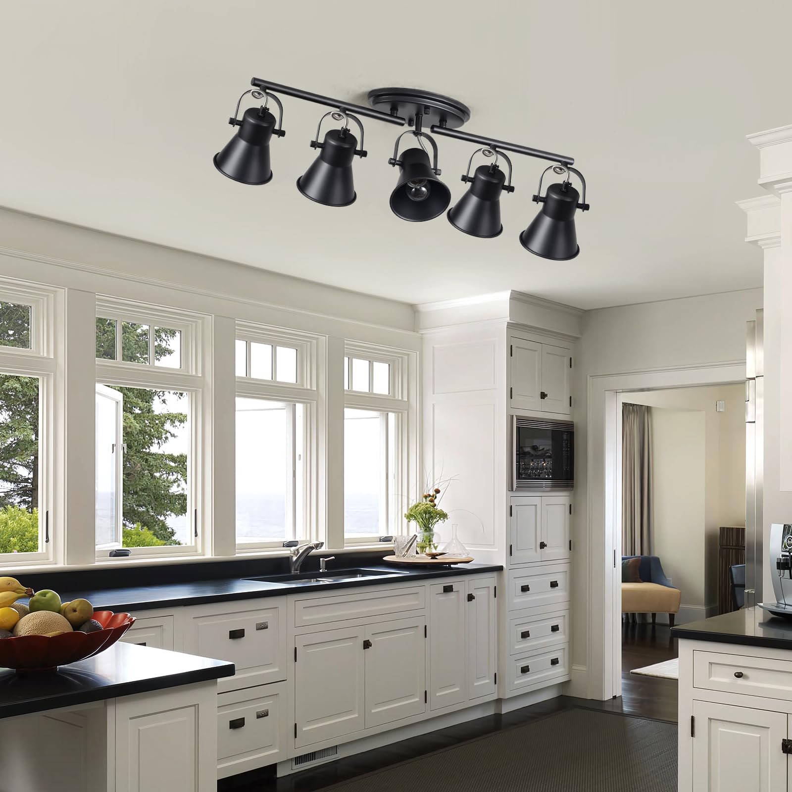 Snapklik.com : 5-Light Track Lighting Kit, Directional Ceiling Light, Industrial Black Kitchen ...