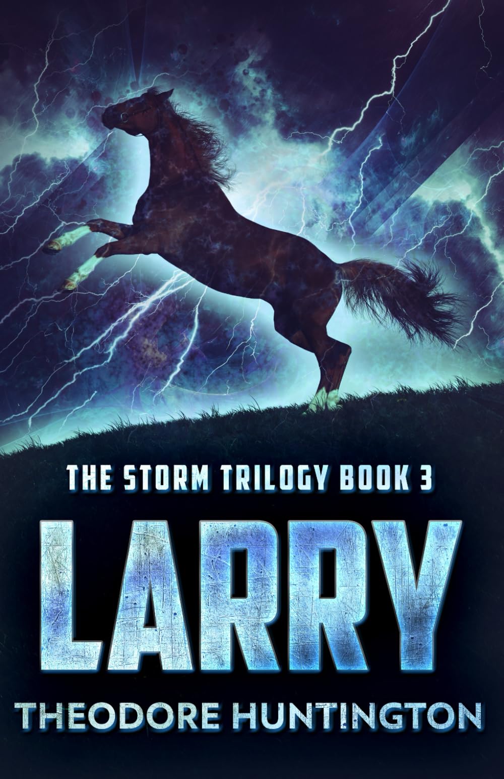 Amazon.com: Larry (The Storm Trilogy): 9798871195246: Huntington ...