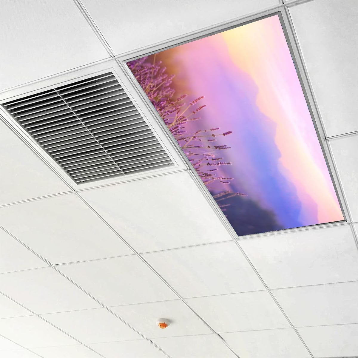 Paquete de 6 cubiertas fluorescentes para luz de techo, flores de ...