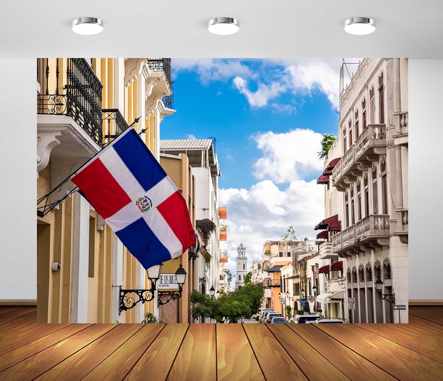 Amazon.com : BELECO 10x8ft Fabric Dominican Street Backdrop Flag of The ...