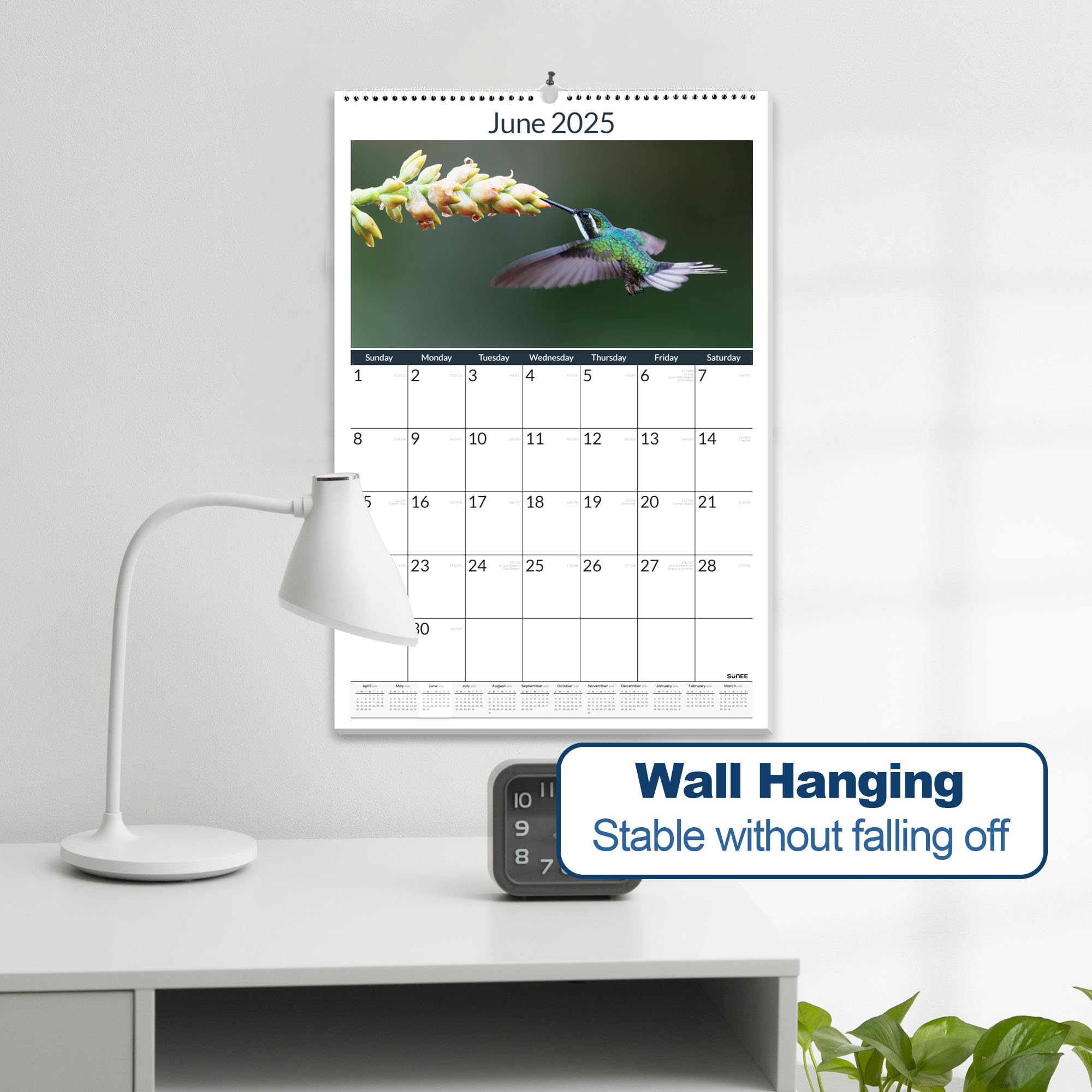Sunee Large 2025 21 Month Hummingbirds SUNEE 2025-2026 Hummingbird ...