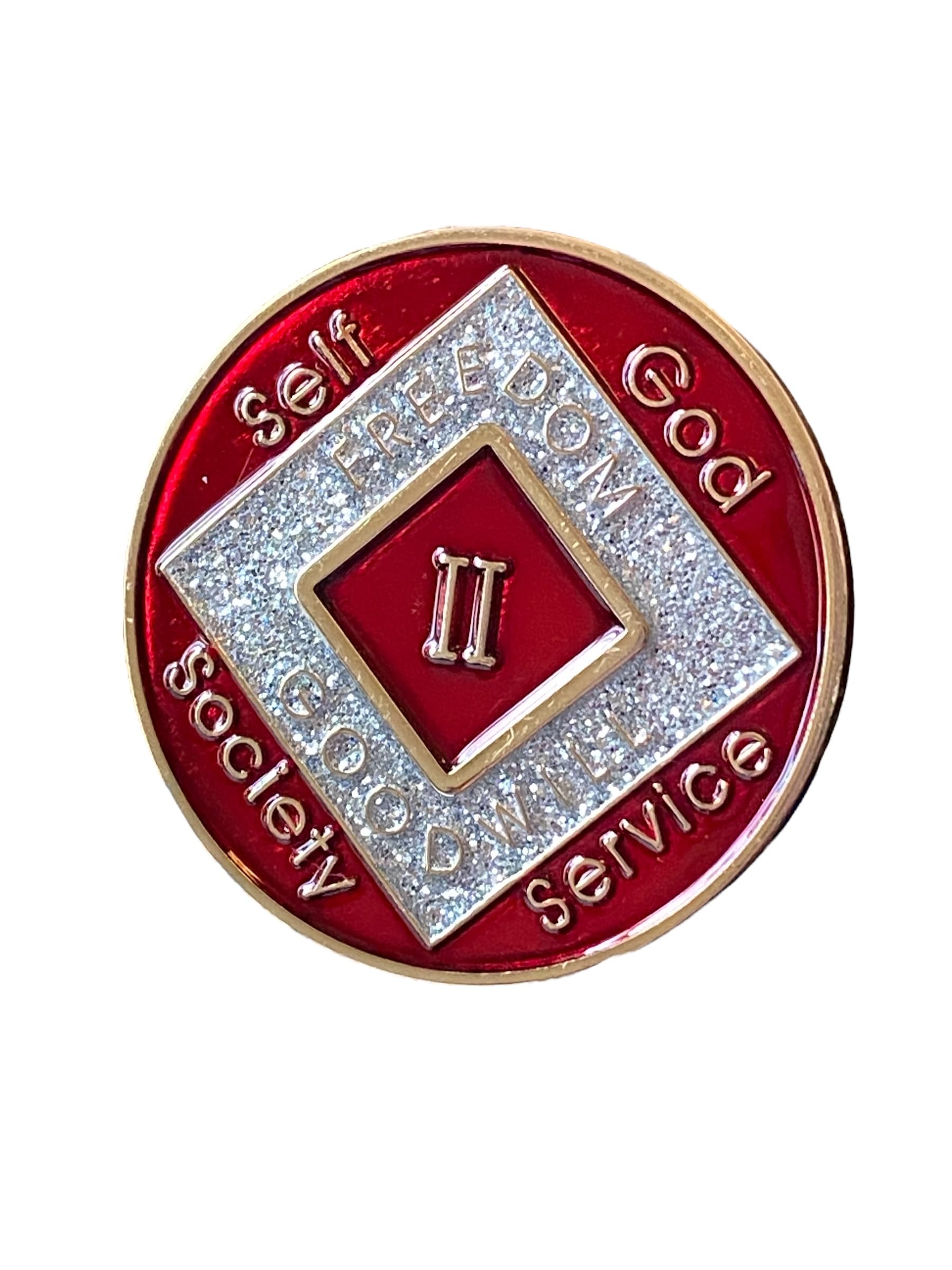 Amazon.com: 2 Year Red and Black NA Medallion Official Narcotics ...