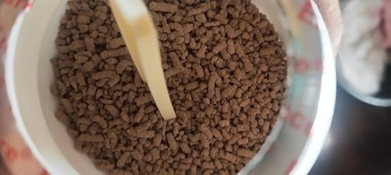 Buy Galact Granules - Lactation Supplement with Shatavari to increase ...