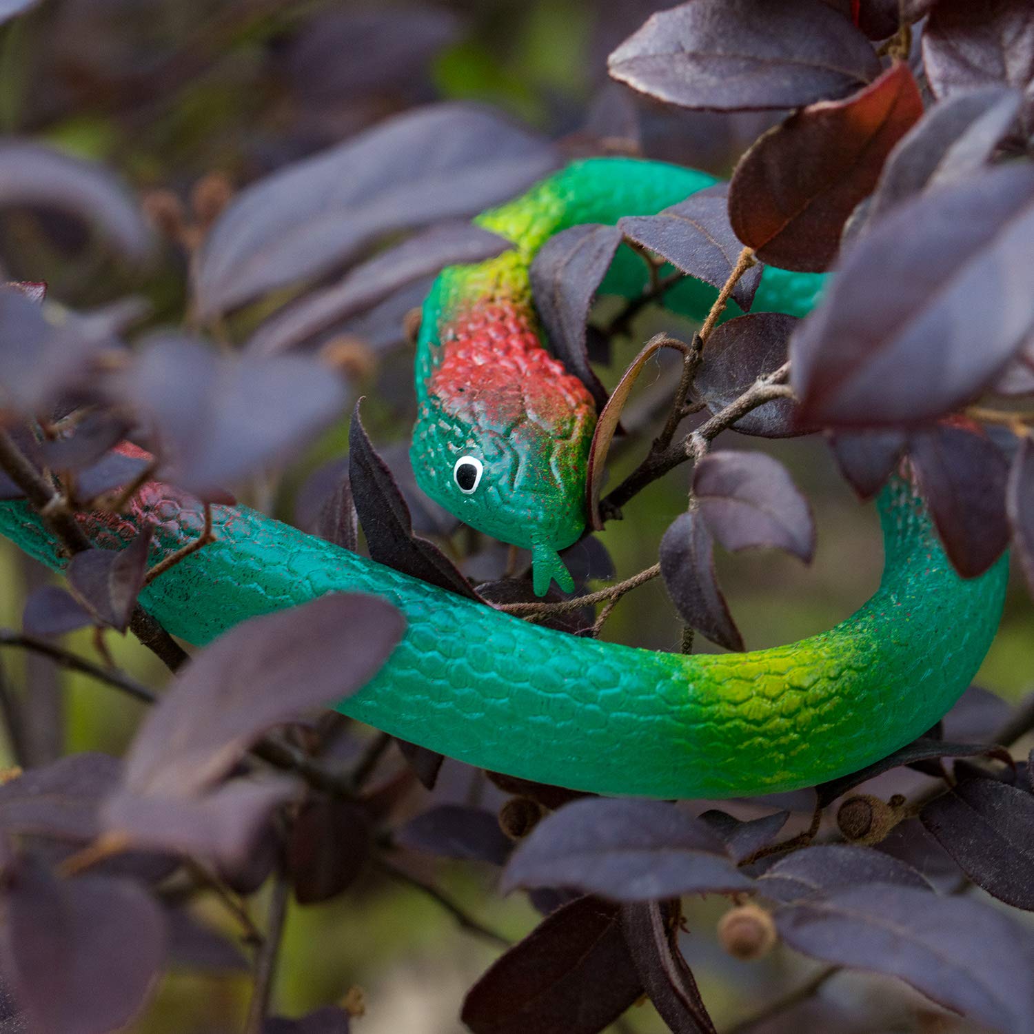 Watch Rubber Snakes to Keep Birds Away on Amazon Live