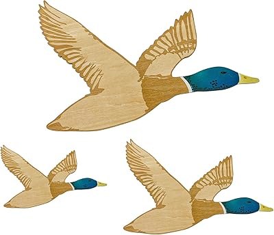 Amazon.com: 3 Pieces Wood Hummingbird Wall Art Decor 9 inch Hummingbird ...