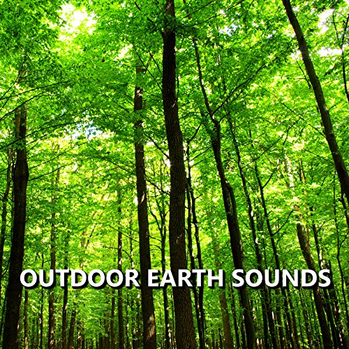 Amazon.com: Outdoor Earth Sounds : Earth Sounds: Digital Music