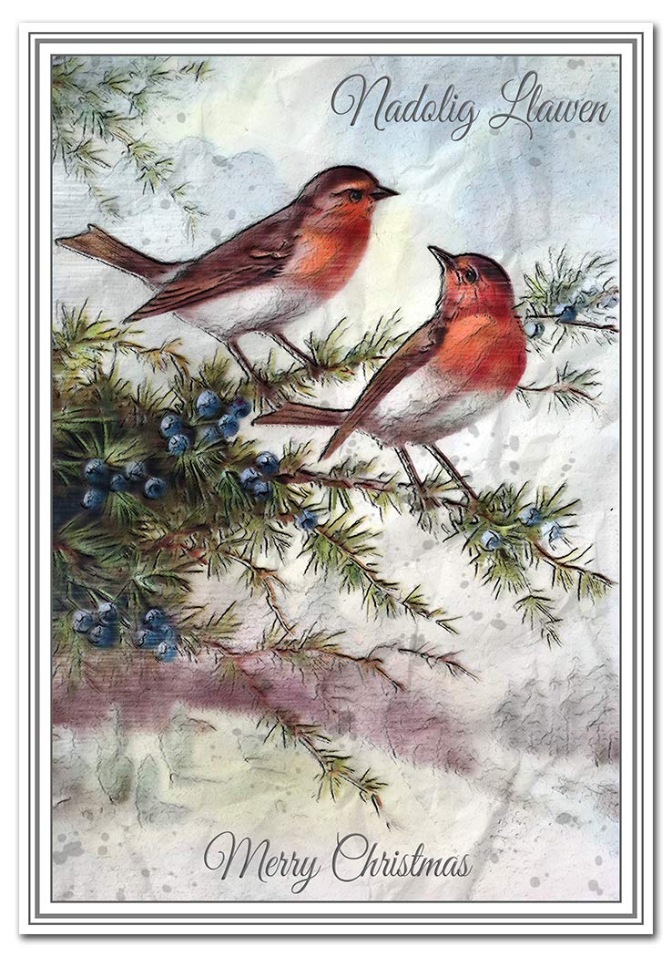 Welsh Christmas Cards - Nadolig Llawen –Merry Xmas Greetings in English ...