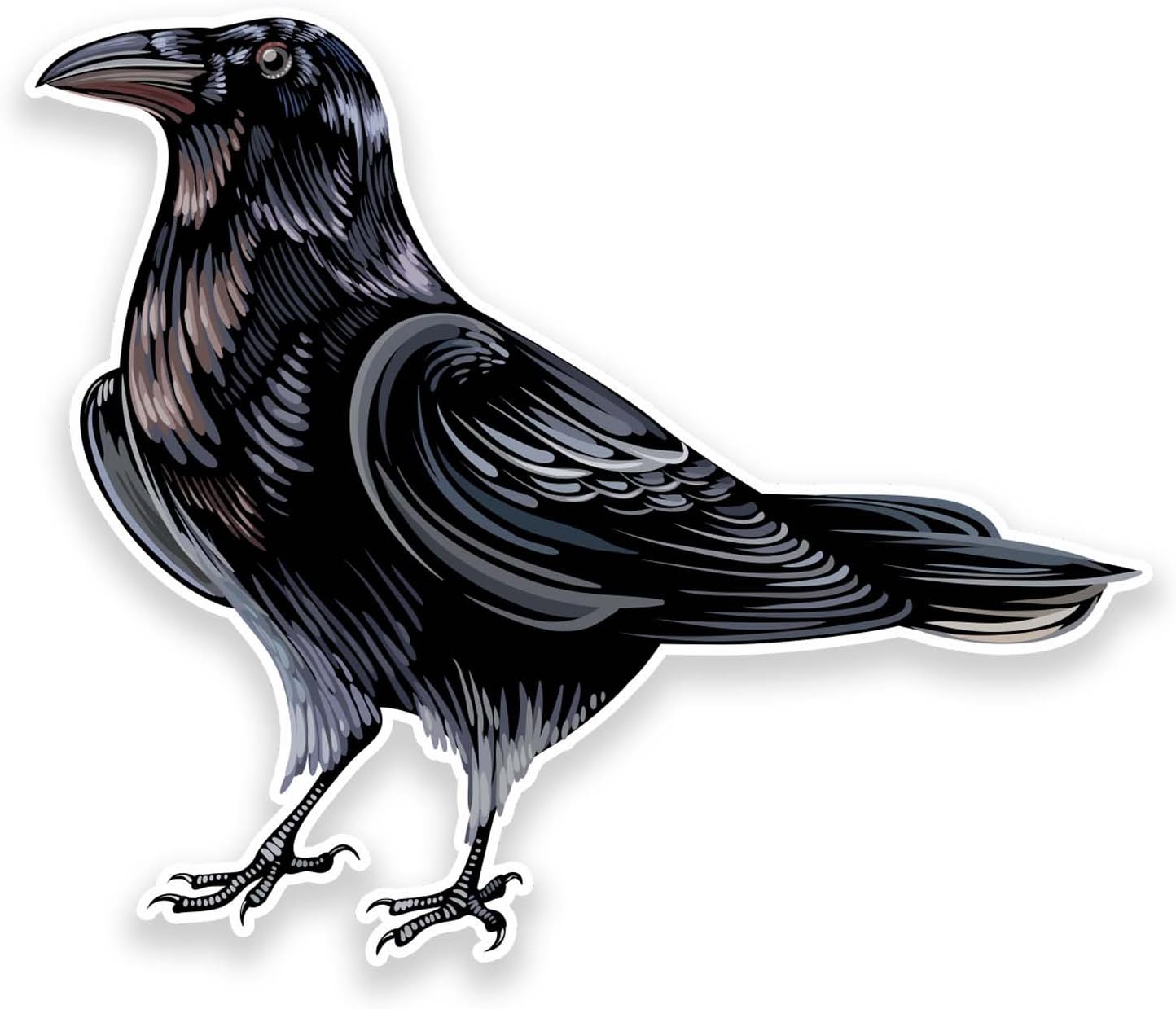 2 x 10cm Raven Crow Vinyl Sticker Bike Laptop Car Bike Helmet Blackbird ...
