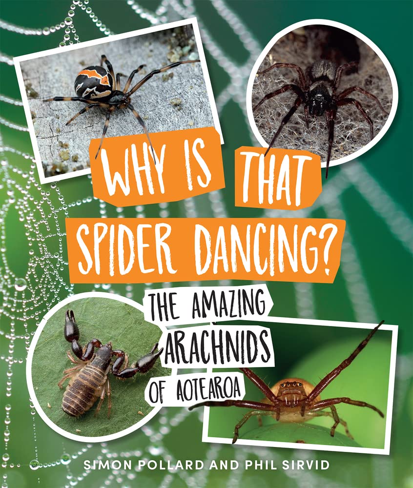 Why is That Spider Dancing?: The Amazing Arachnids of Aotearoa: Pollard ...