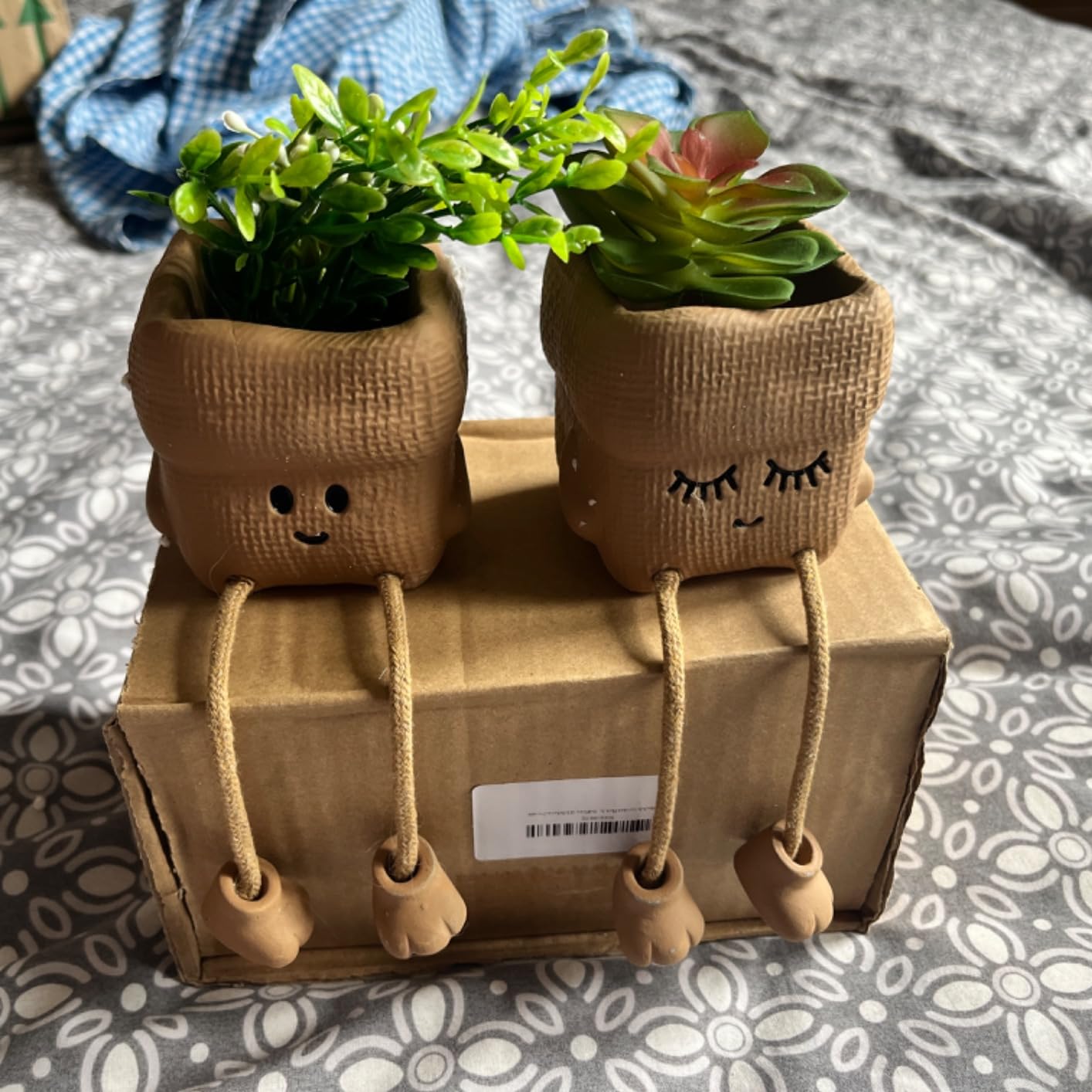 Mini Fake Succulents Plants Artificial - Cute Fun Smiling Flower Pot ...