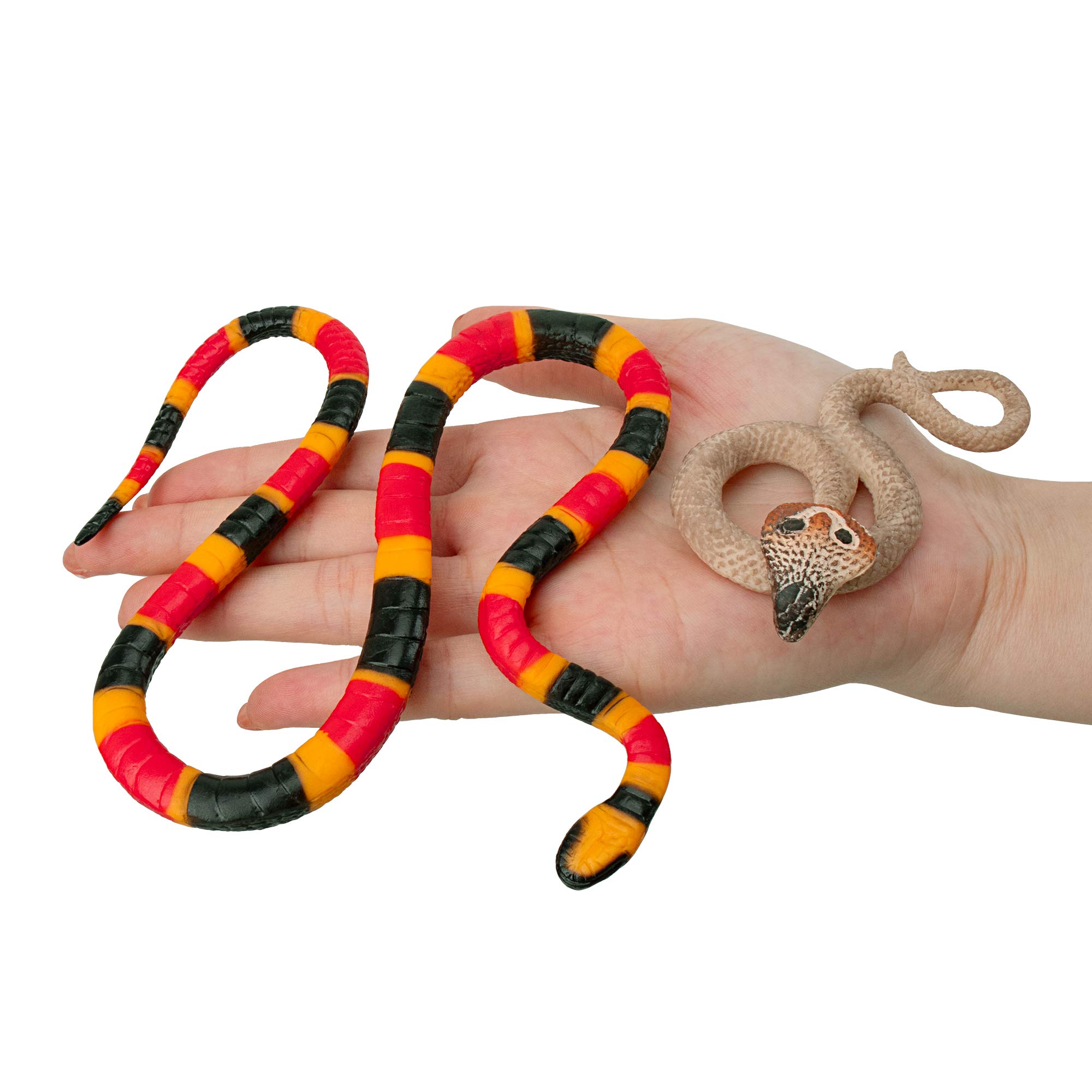 Snapklik.com : Toymany 8PCS Snake Figures Safari Animal Figurines ...