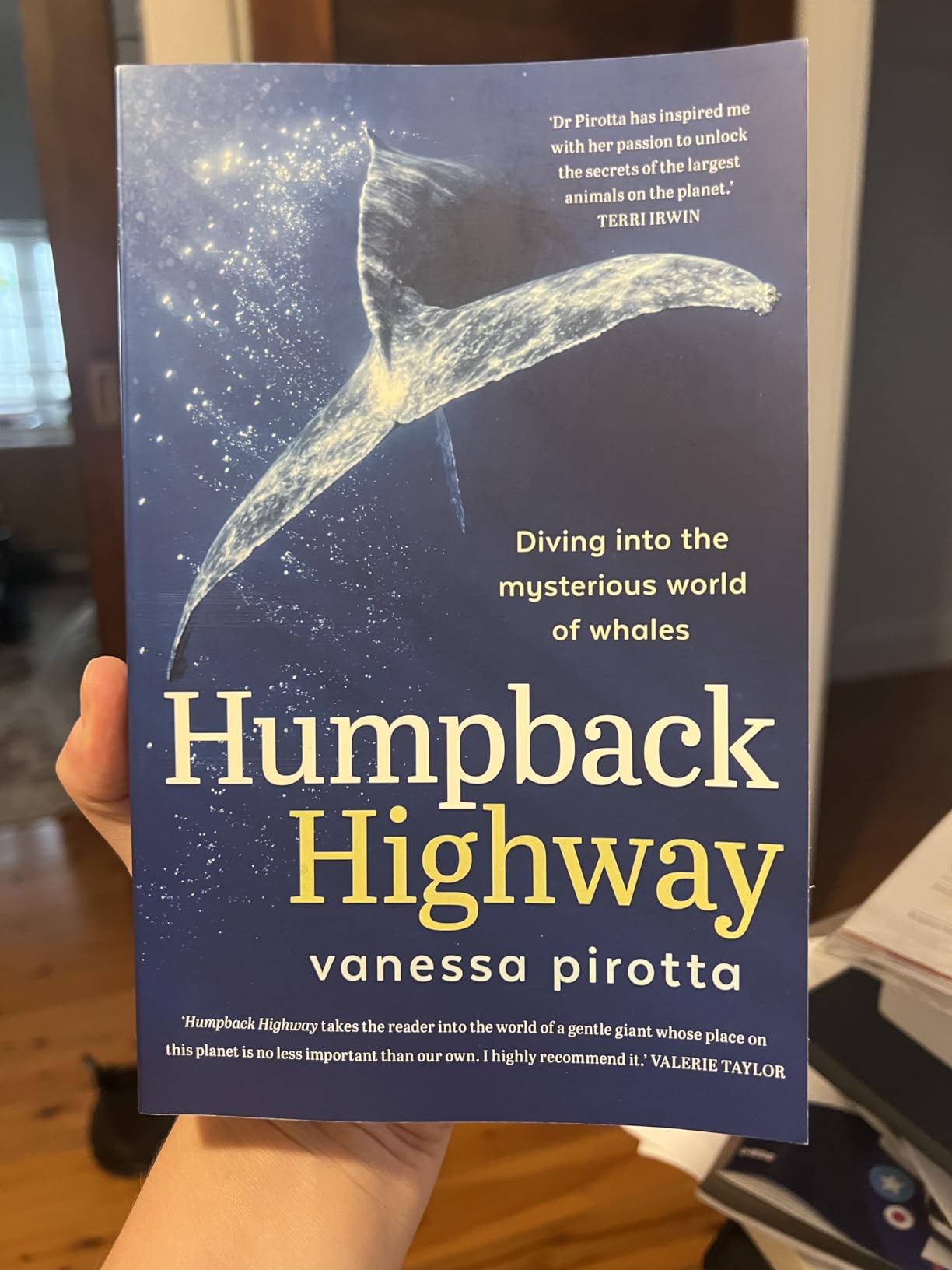 Humpback Highway: Diving into the mysterious world of whales : Pirotta ...