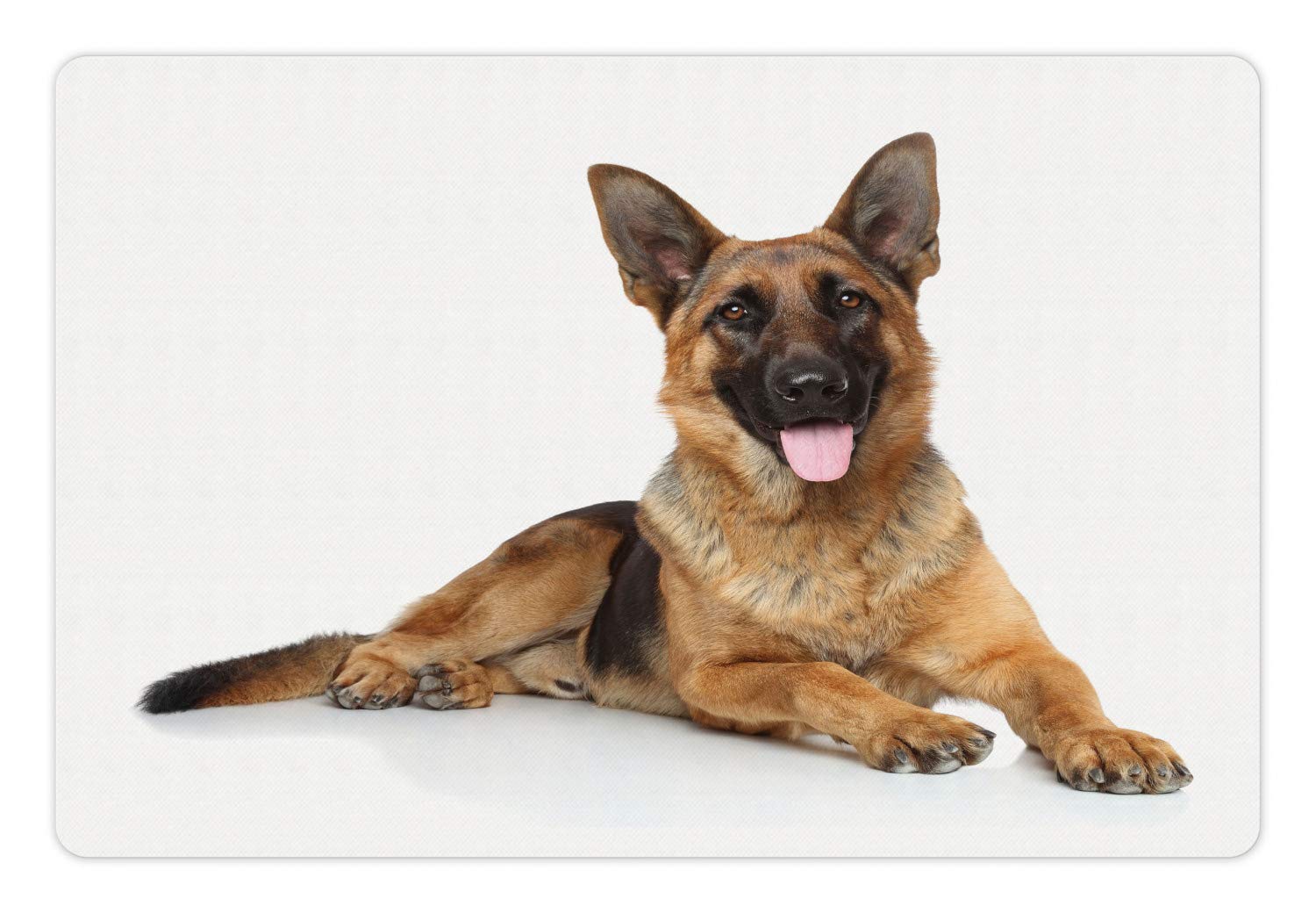 Smiling Dogs And Cats