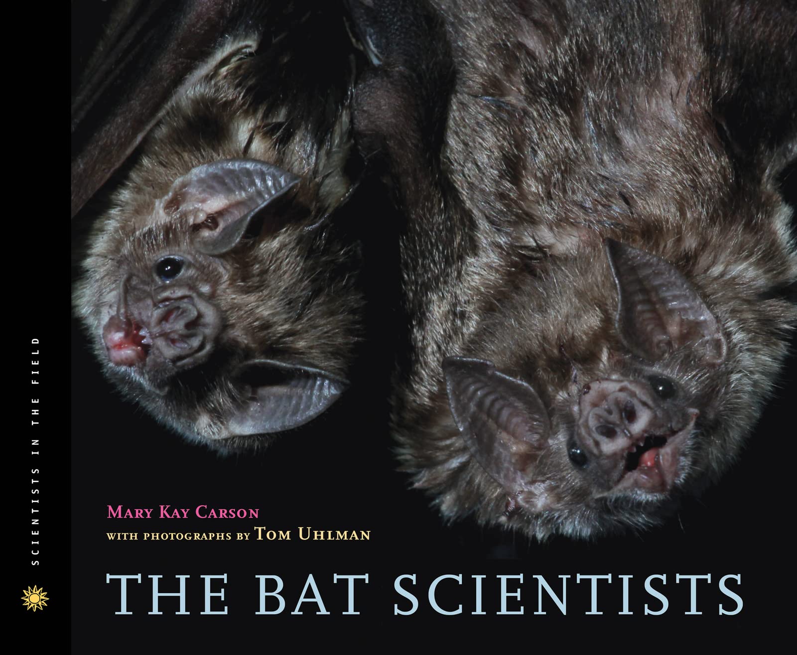 The Bat Scientists (Scientists in the Field): Carson, Mary Kay ...
