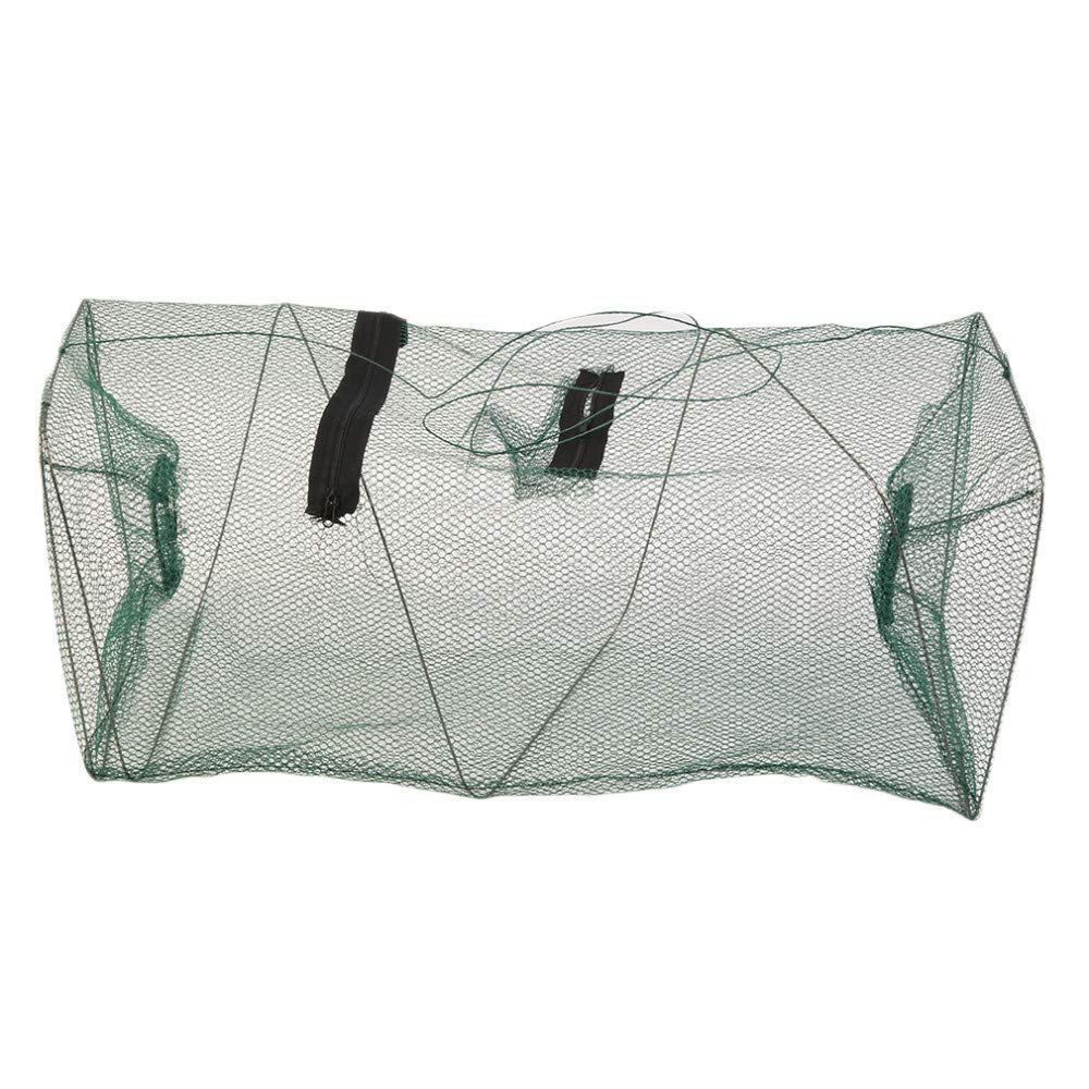 Buy Nema Foldable Minnow Fishing Bait Trap Cast Net Cage Online at Low ...