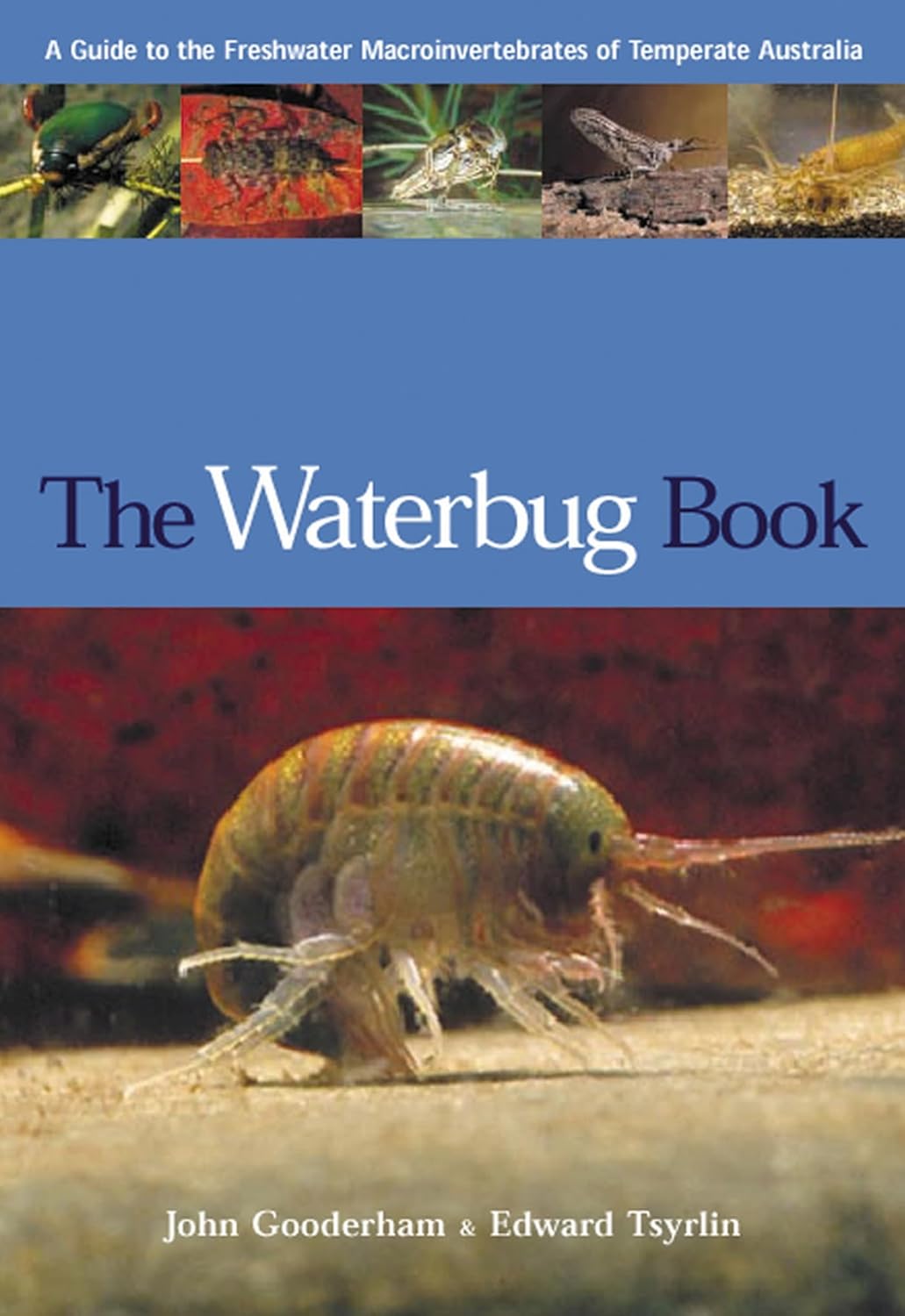 Waterbug Book: A Guide to the Freshwater Macroinvertebrates of ...