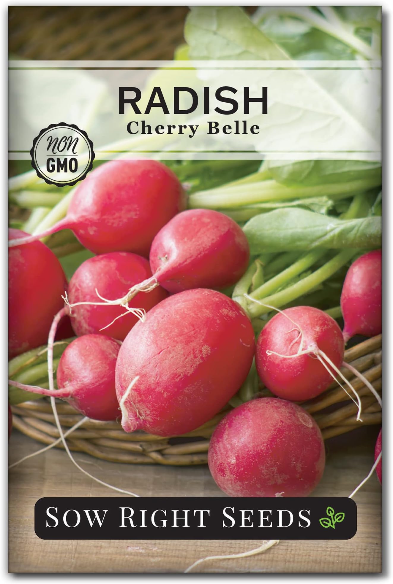 Amazon.com : Cherry Belle Radish Seeds - 500+ Non-GMO Heirloom, Fast ...