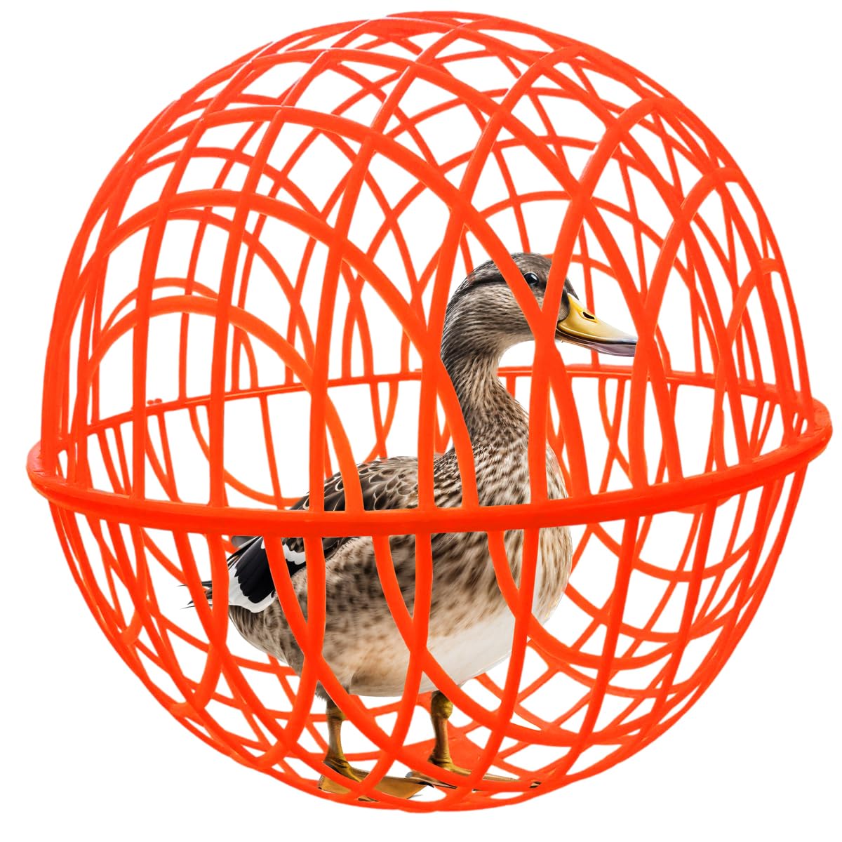 Chicken Balls Chicken Orb Chicken Ball Cage - 40cm Movable Round ...