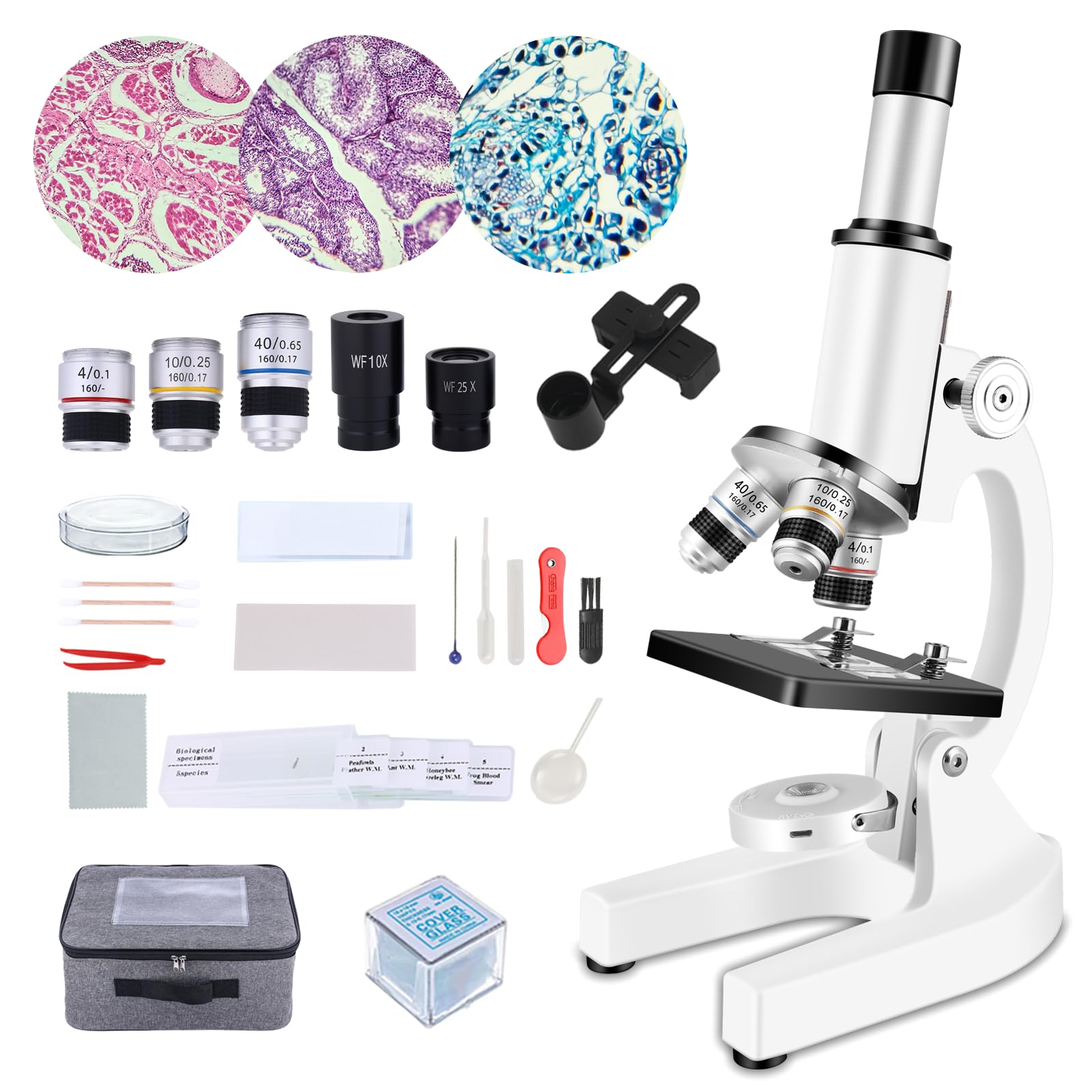 Amazon.com : Poothoh Microscope for Adults Kids 40-2000X Magnification ...