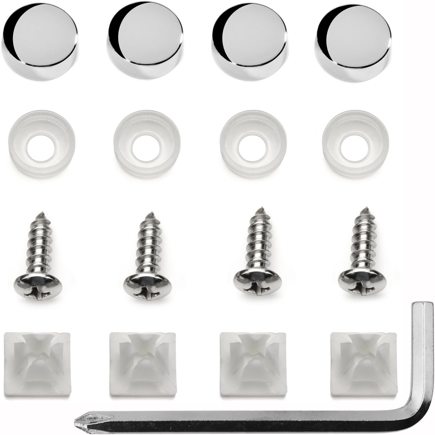 Amazon.com: LFPartS Stainless Steel License Plate Frame Screws ...