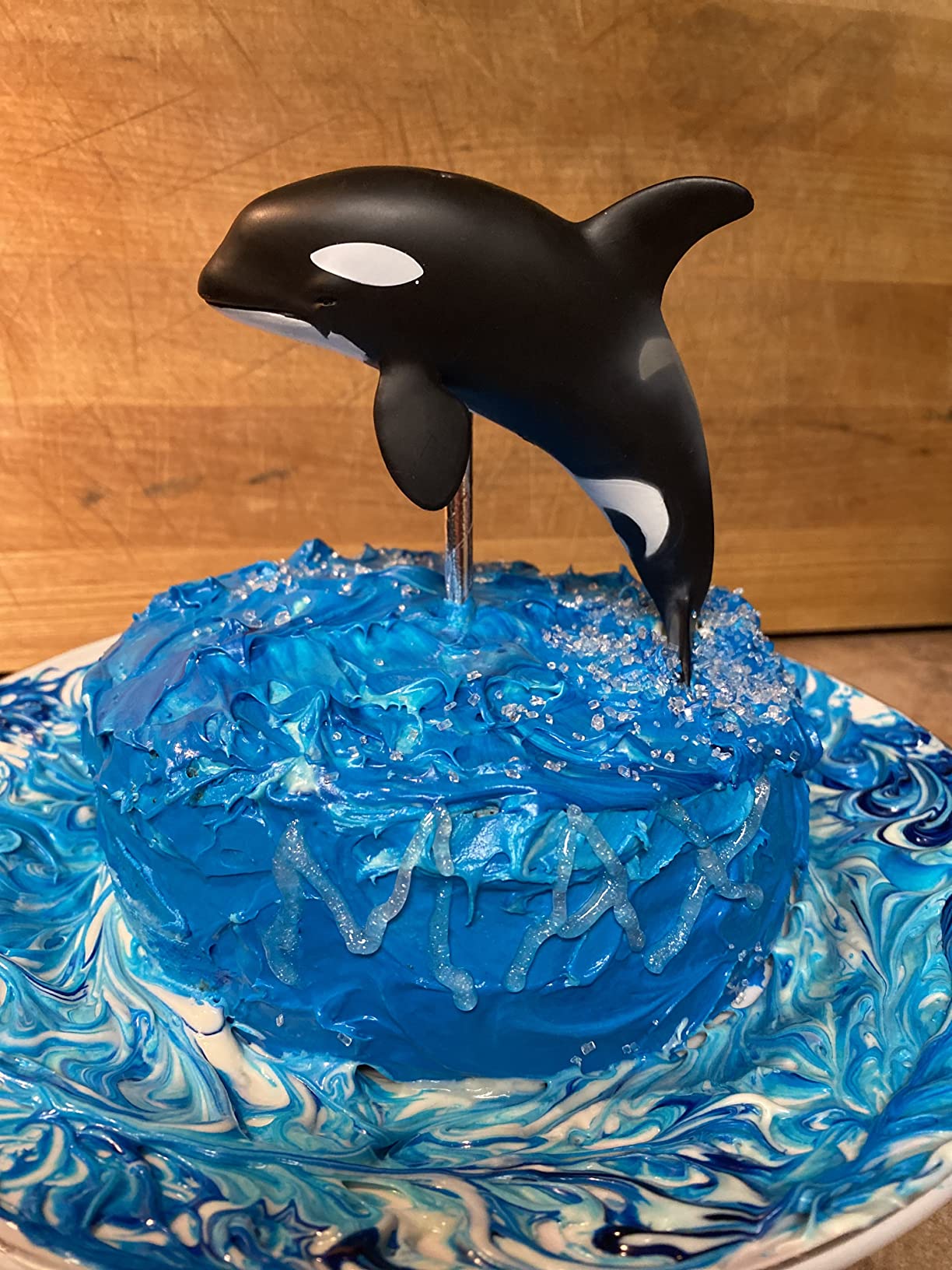 Amazon.com: CollectA Sea Life Orca Calf Toy Figure - Authentic Hand ...