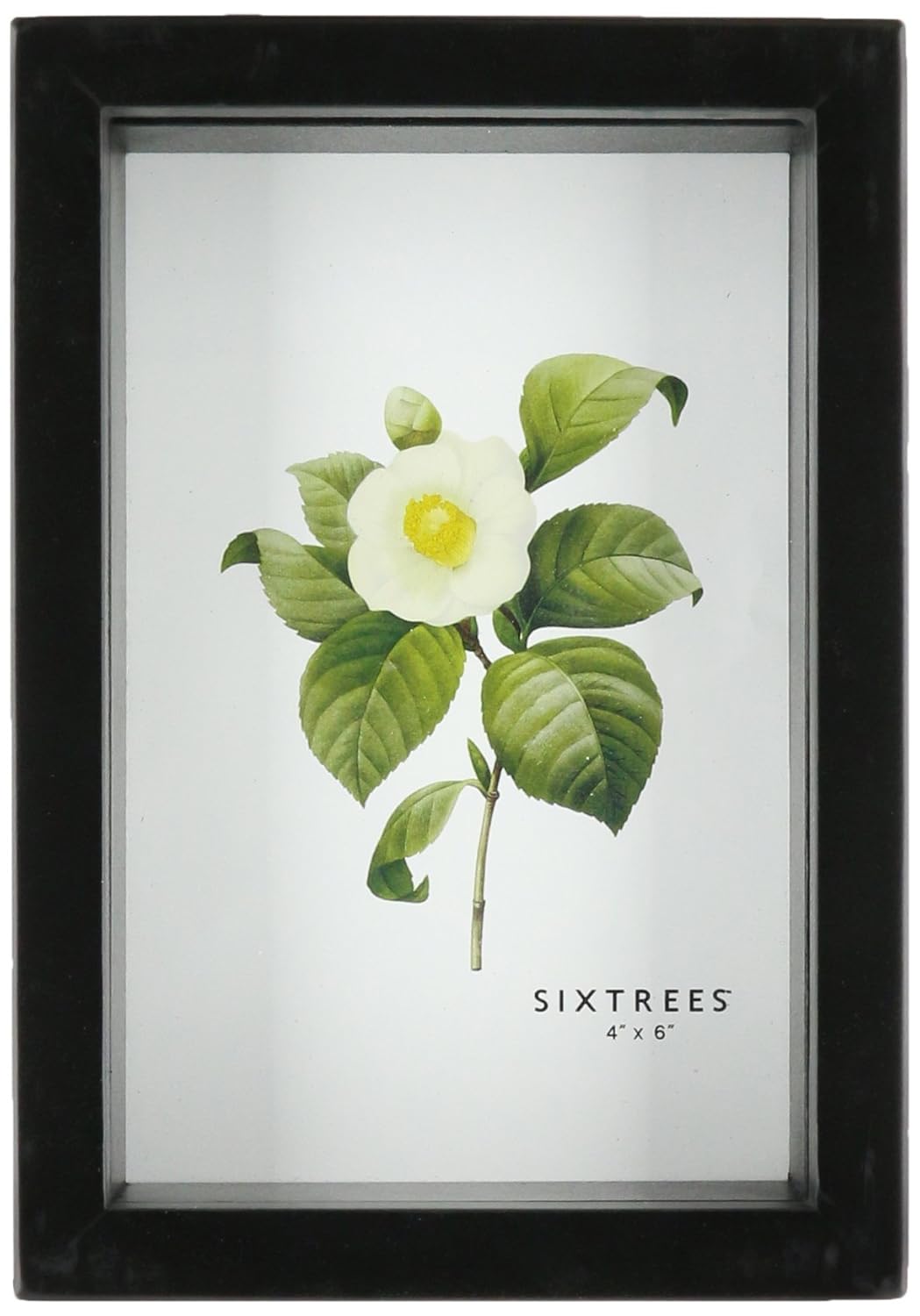 Sixtrees Shadow Box Frame, 4 by 6-Inch, Black : Amazon.in: Home & Kitchen