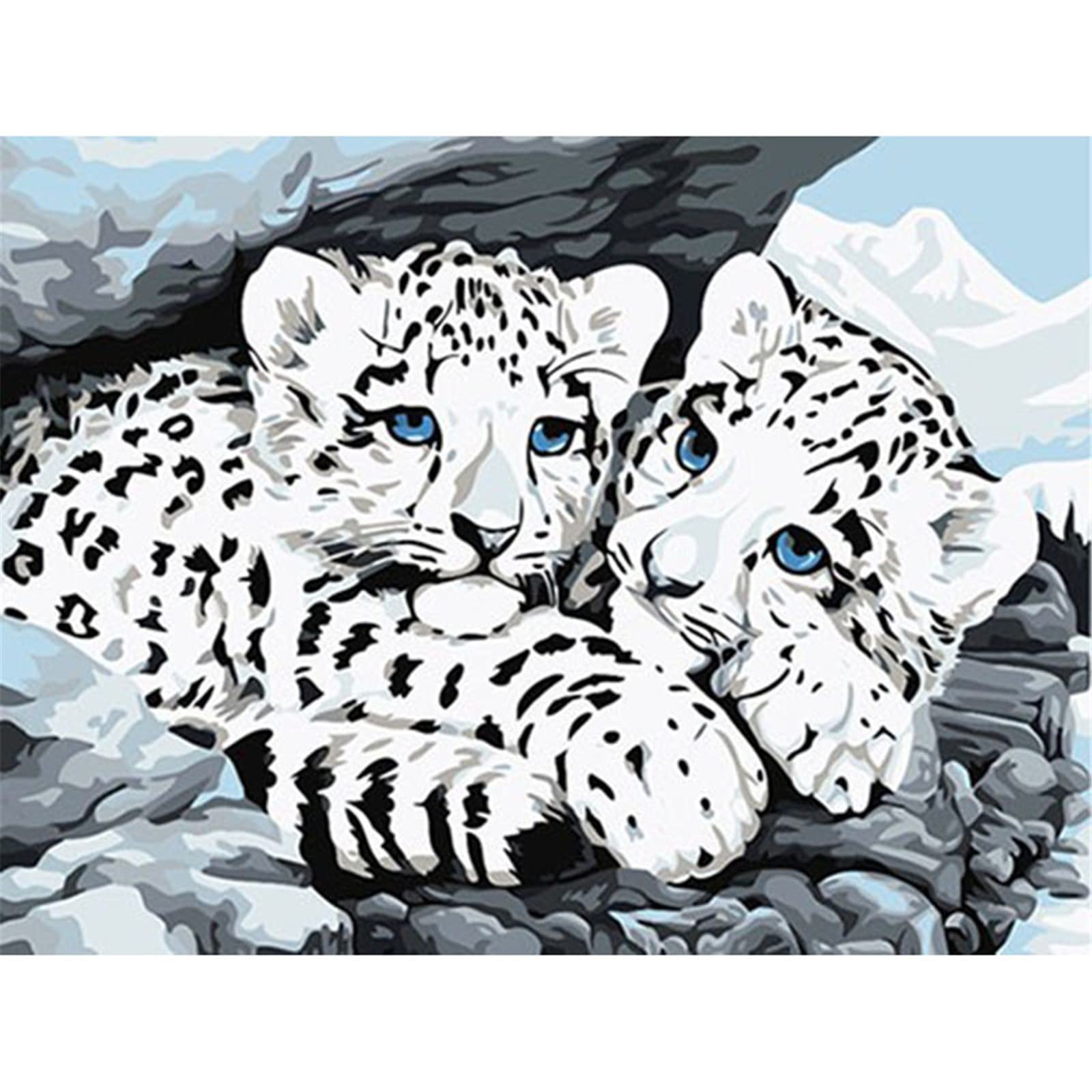 Black Snow Leopard Kits Snow Leopard – Royal Zoological Society Of