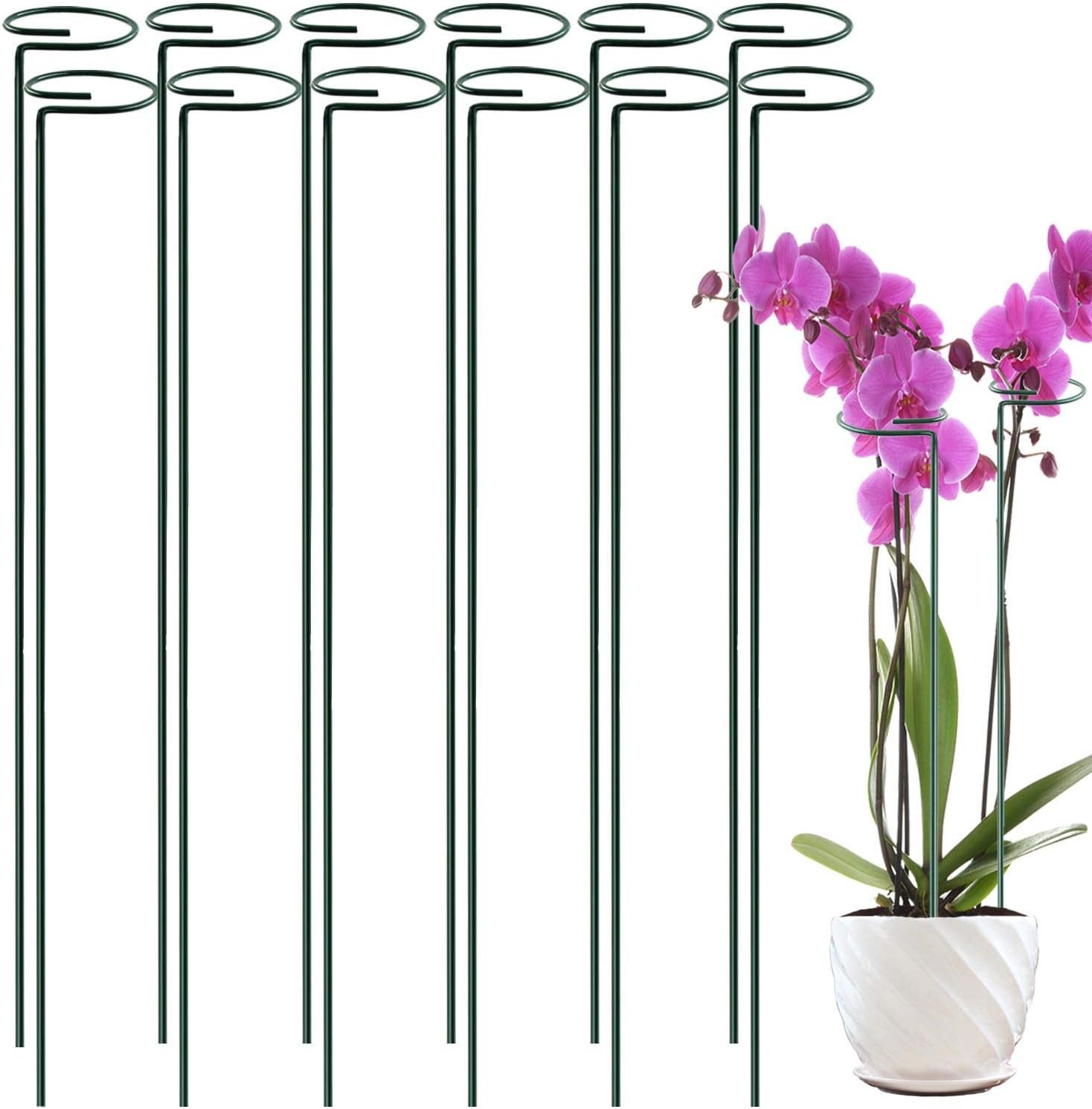 Amazon.com : 12 Pack 36 inch Plant Support Stakes,Single Stem Plant ...