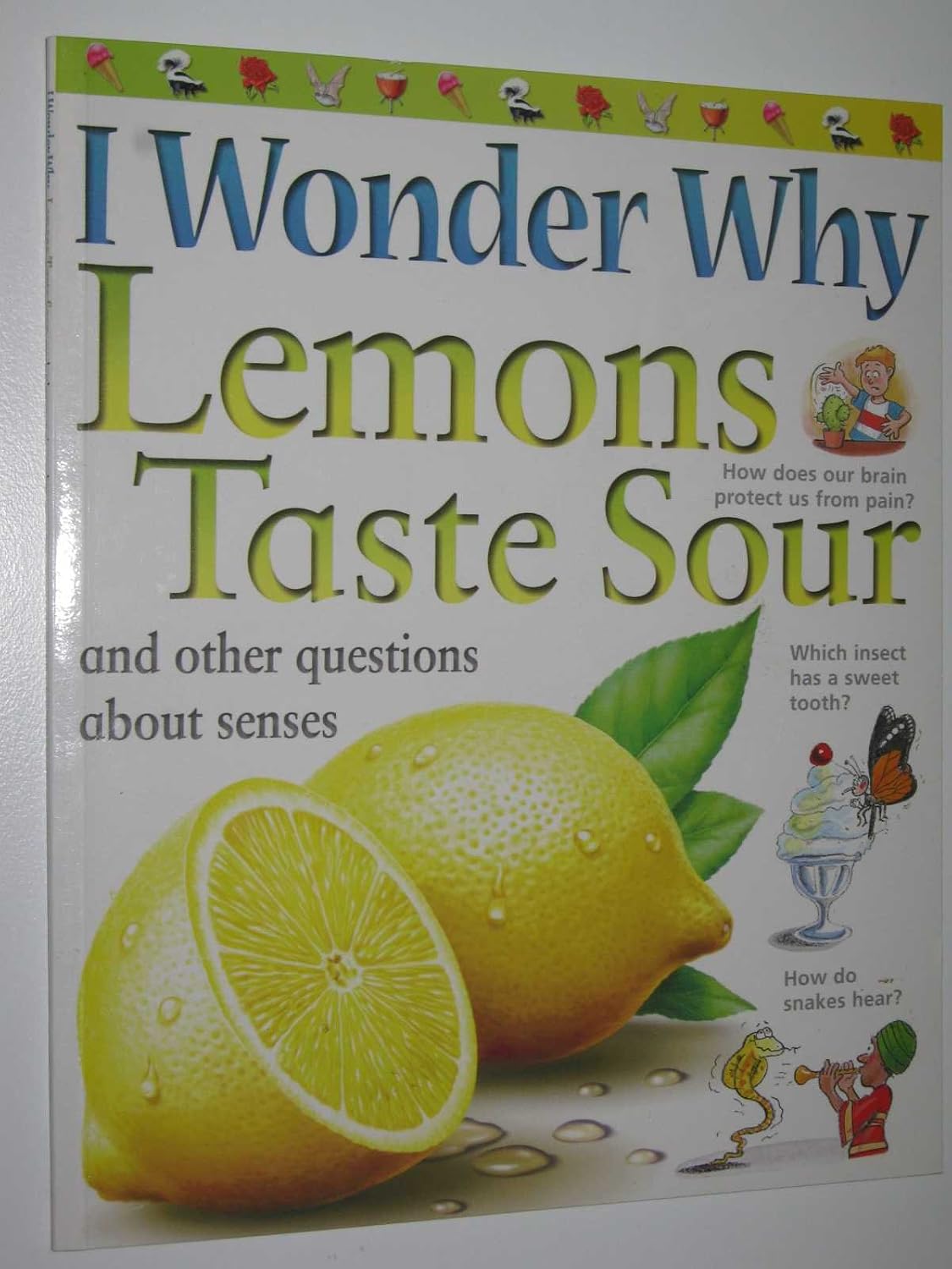 I Wonder Why Lemons Taste Sour: Chancellor, Deborah: 9780753416983 ...