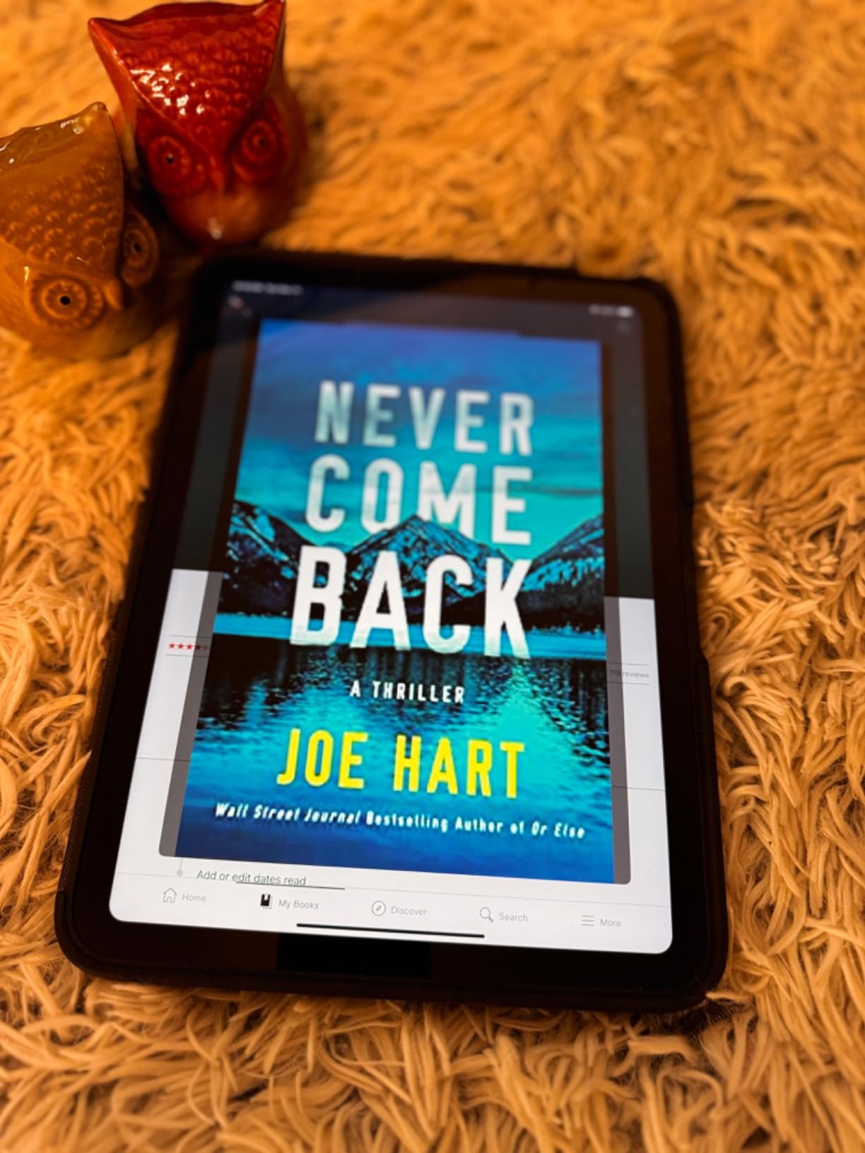 Amazon.com: Never Come Back: A Thriller (Nora McTavish Book 2) eBook ...