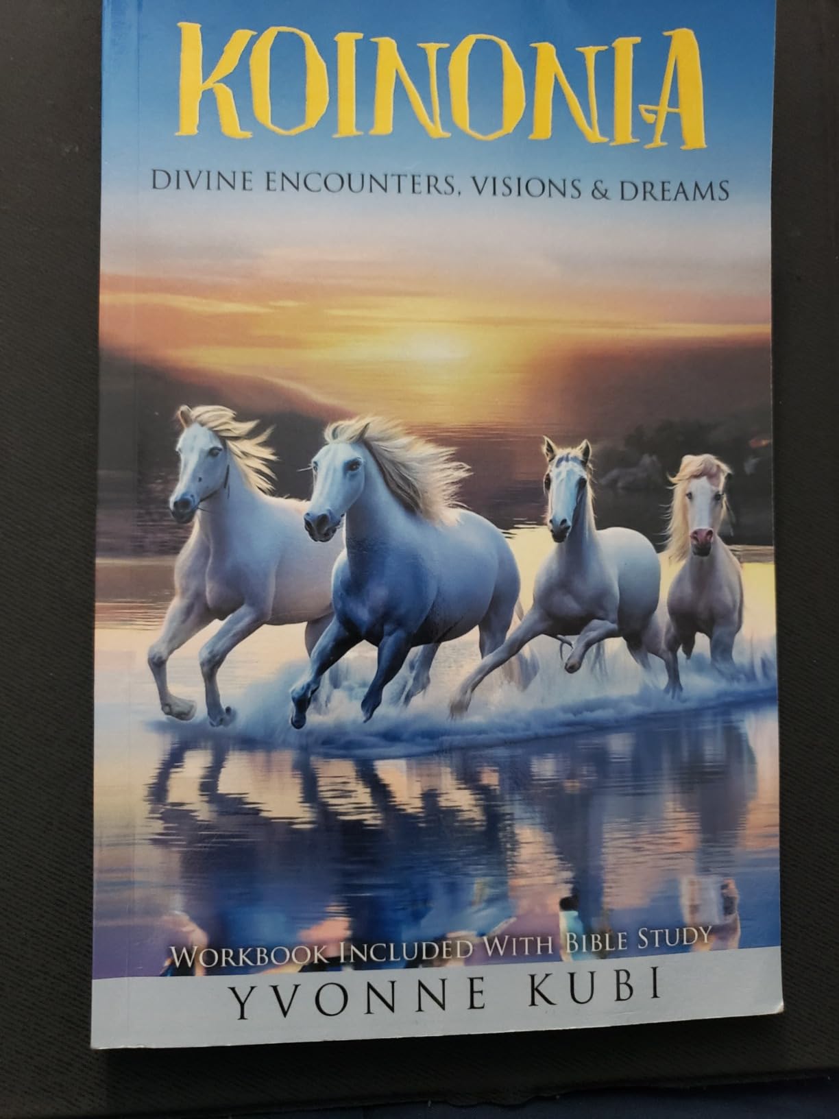 Amazon.com: KOINONIA: Divine Encounters, Visions & Dreams (Workbook ...